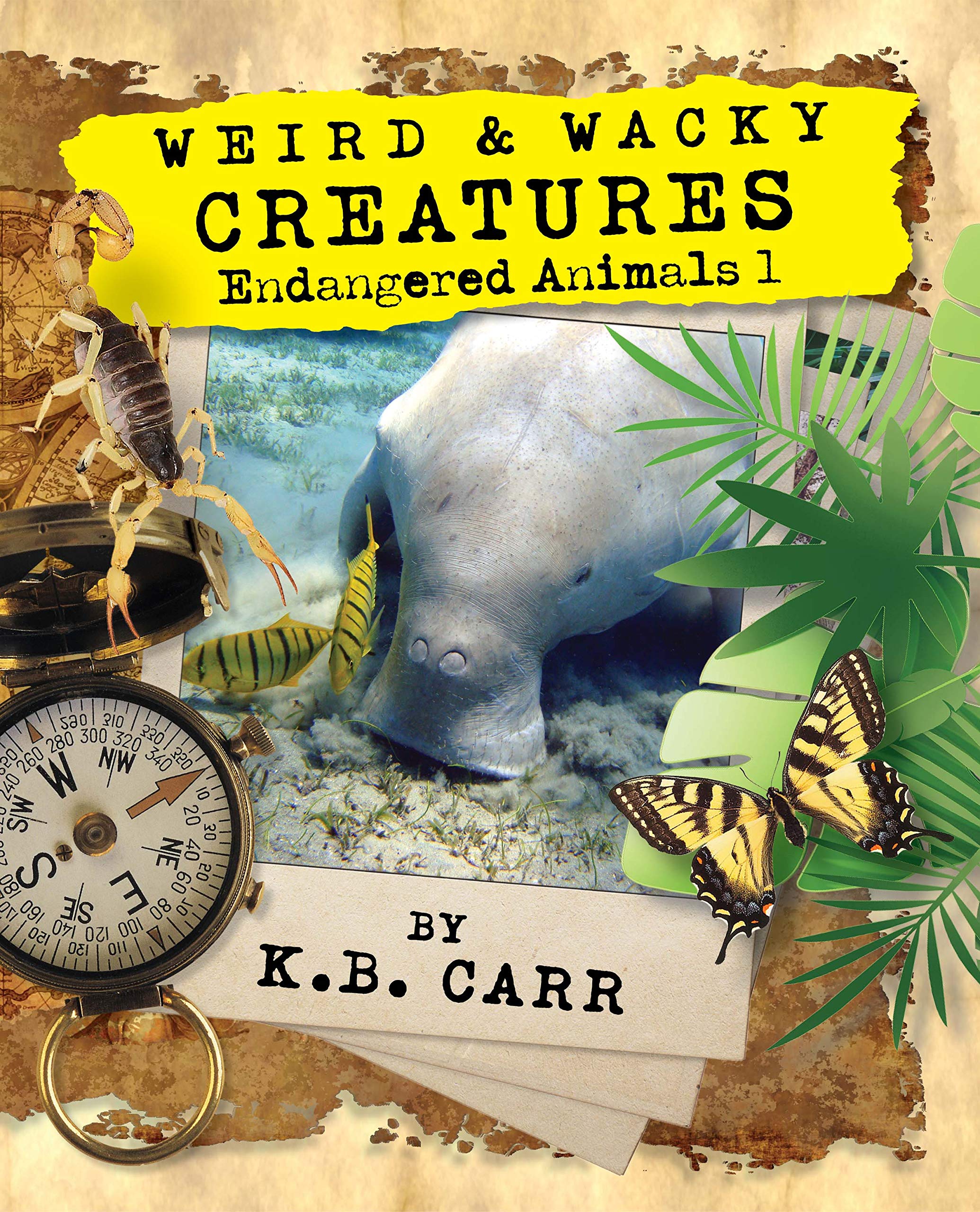 Weird & Wacky Endangered Creatures: Strange, Weird Animals That Share ...