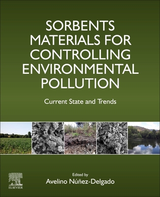 Sorbents Materials for Controlling Environmental Pollution: Current ...