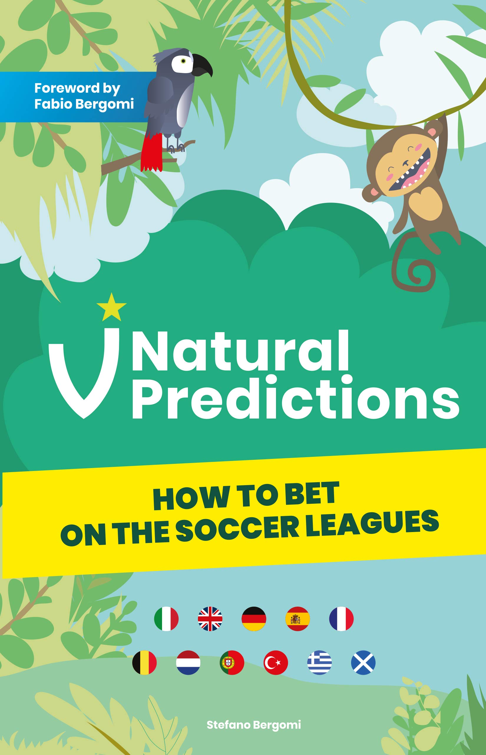 Natural Predictions: How to bet on the soccer leagues by Stefano ...