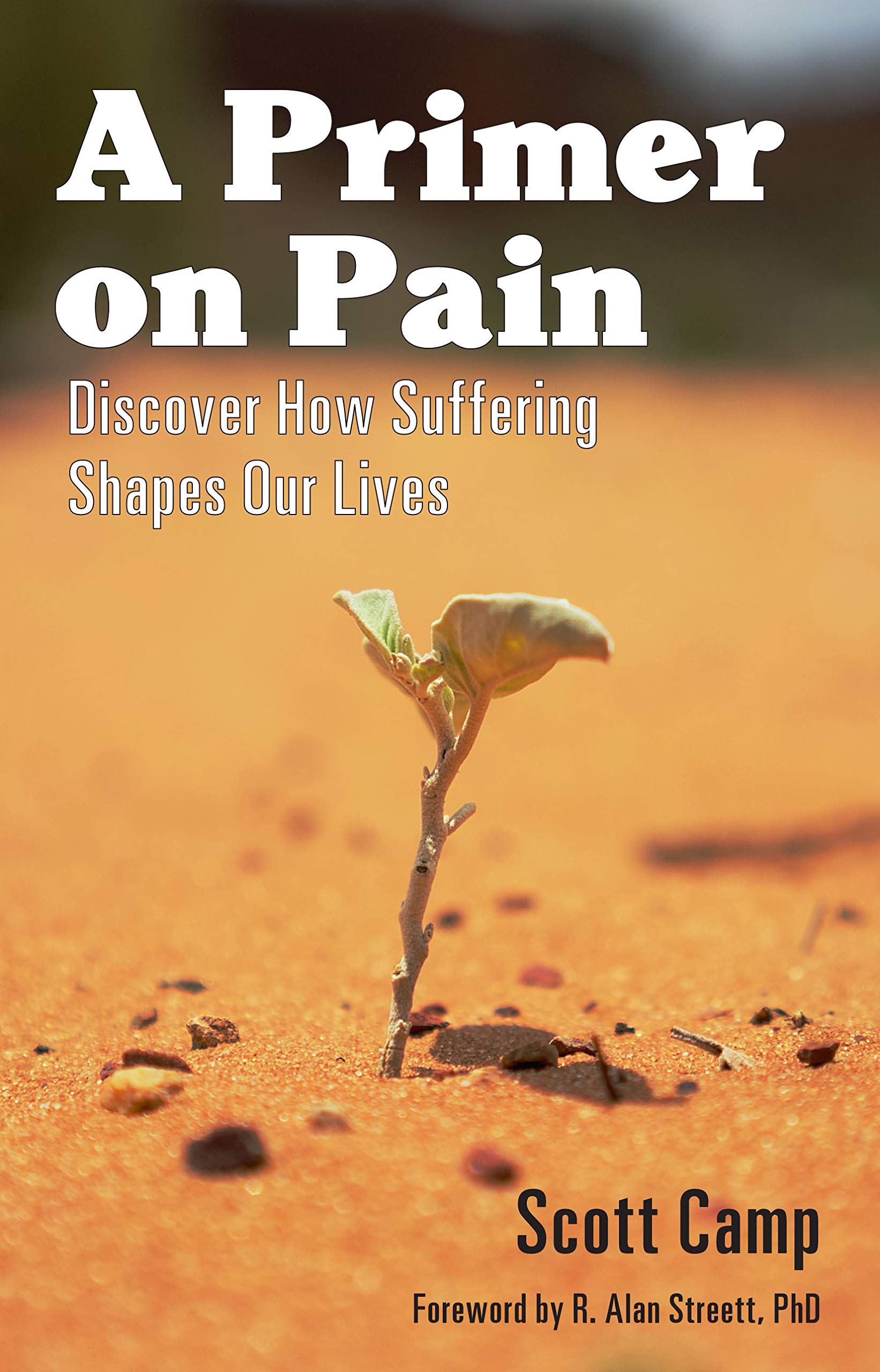A Primer On Pain: Discover How Suffering Shapes Our Lives by Scott Camp | Goodreads