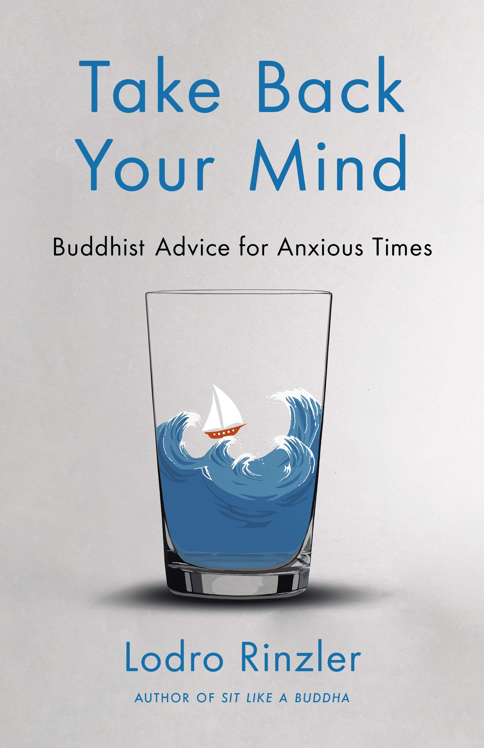 Take Back Your Mind: Buddhist Advice for Anxious Times by Lodro Rinzler ...