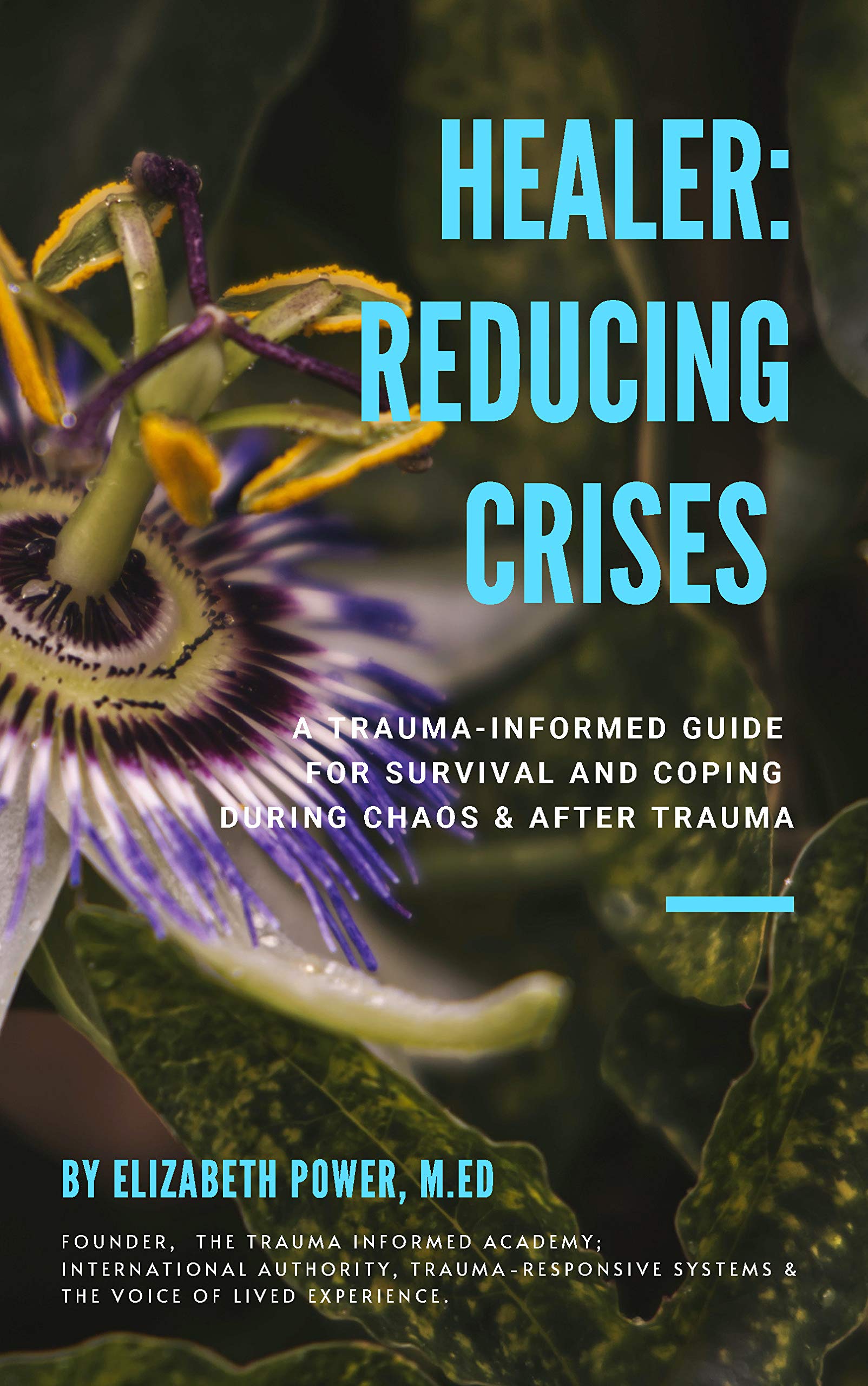 Healer: Reducing Crises by Elizabeth Power | Goodreads