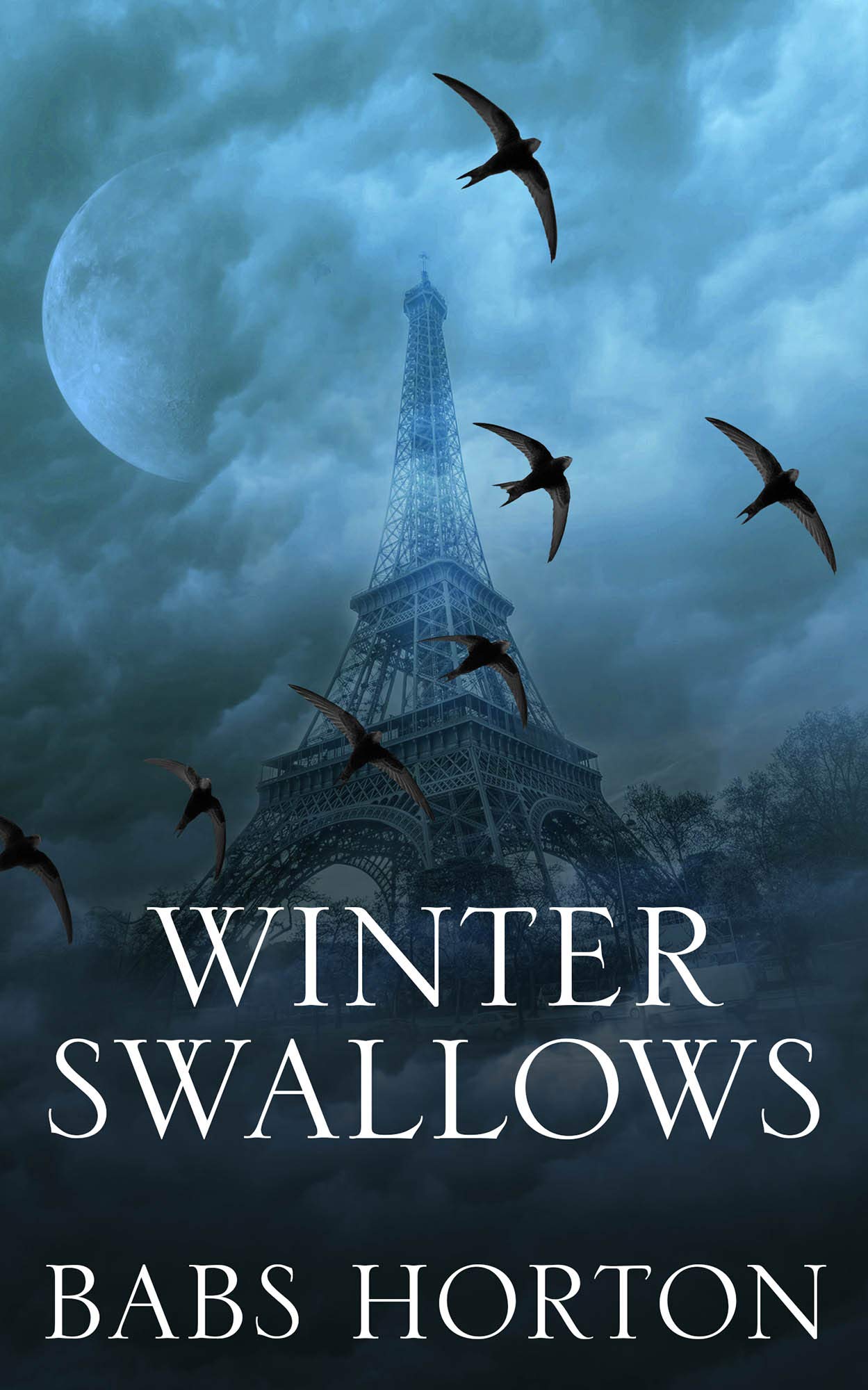 WINTER SWALLOWS by Babs Horton | Goodreads