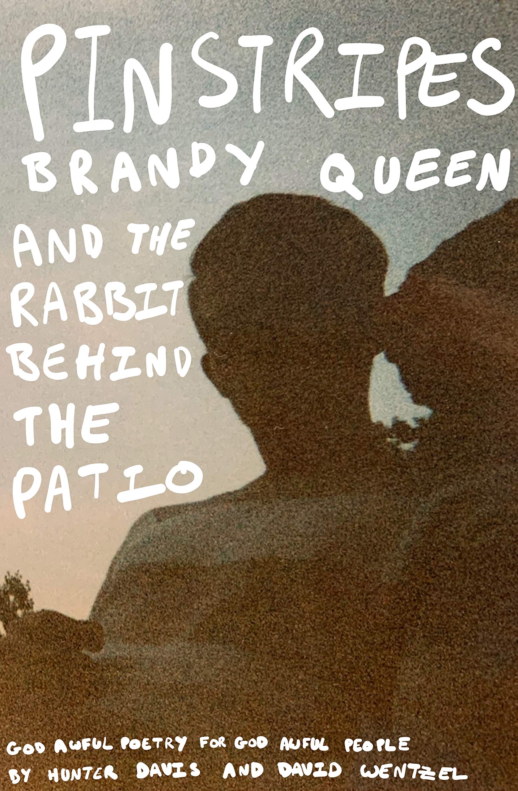 Pinstripes, Brandy Queen, and the Rabbit Behind the Patio: A collection ...