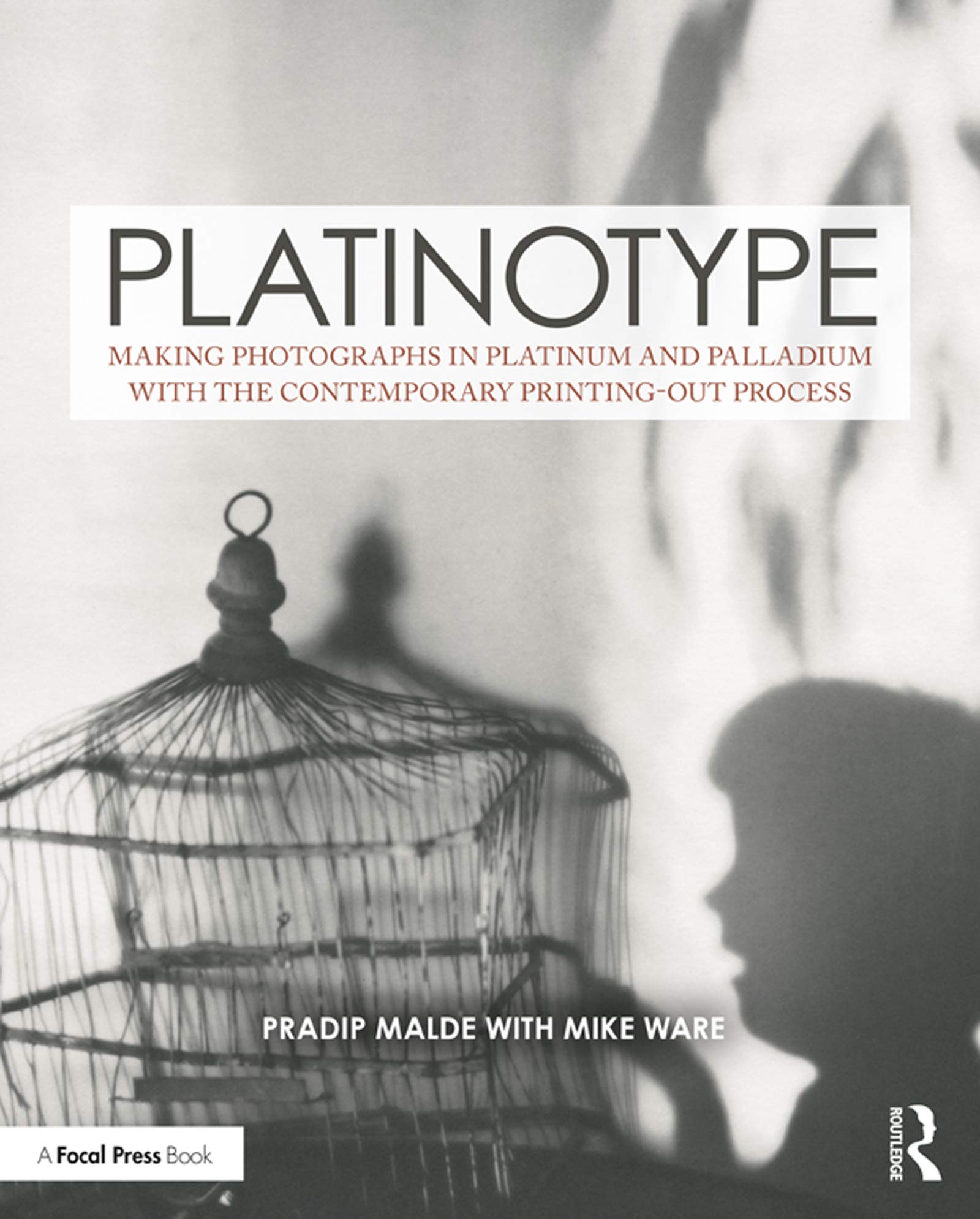 Platinotype: Making Photographs in Platinum and Palladium with the ...