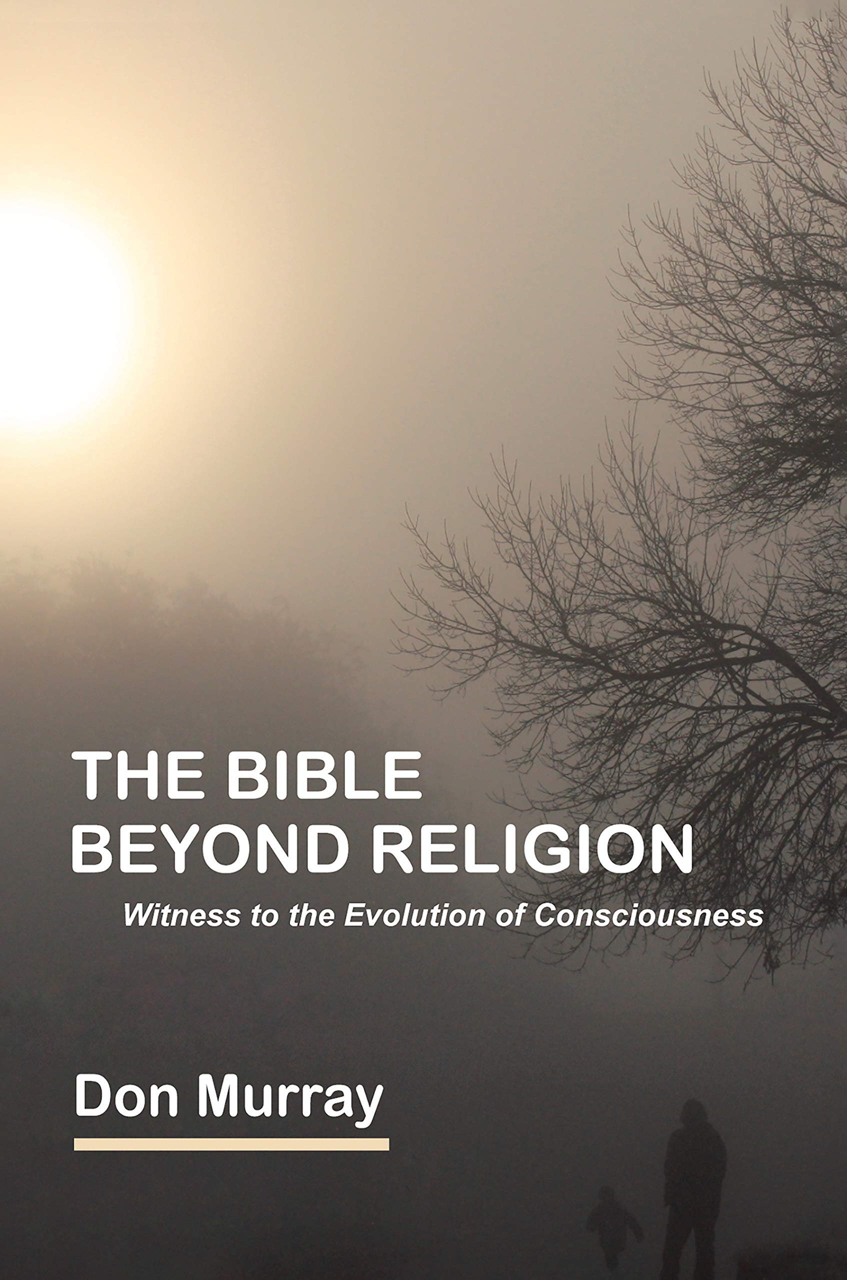 The Bible Beyond Religion: Witness to the Evolution of Consciousness by ...