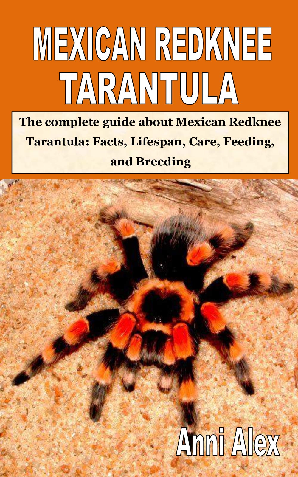 MEXICAN REDKNEE TARANTULA: The complete guide about Mexican Redknee ...