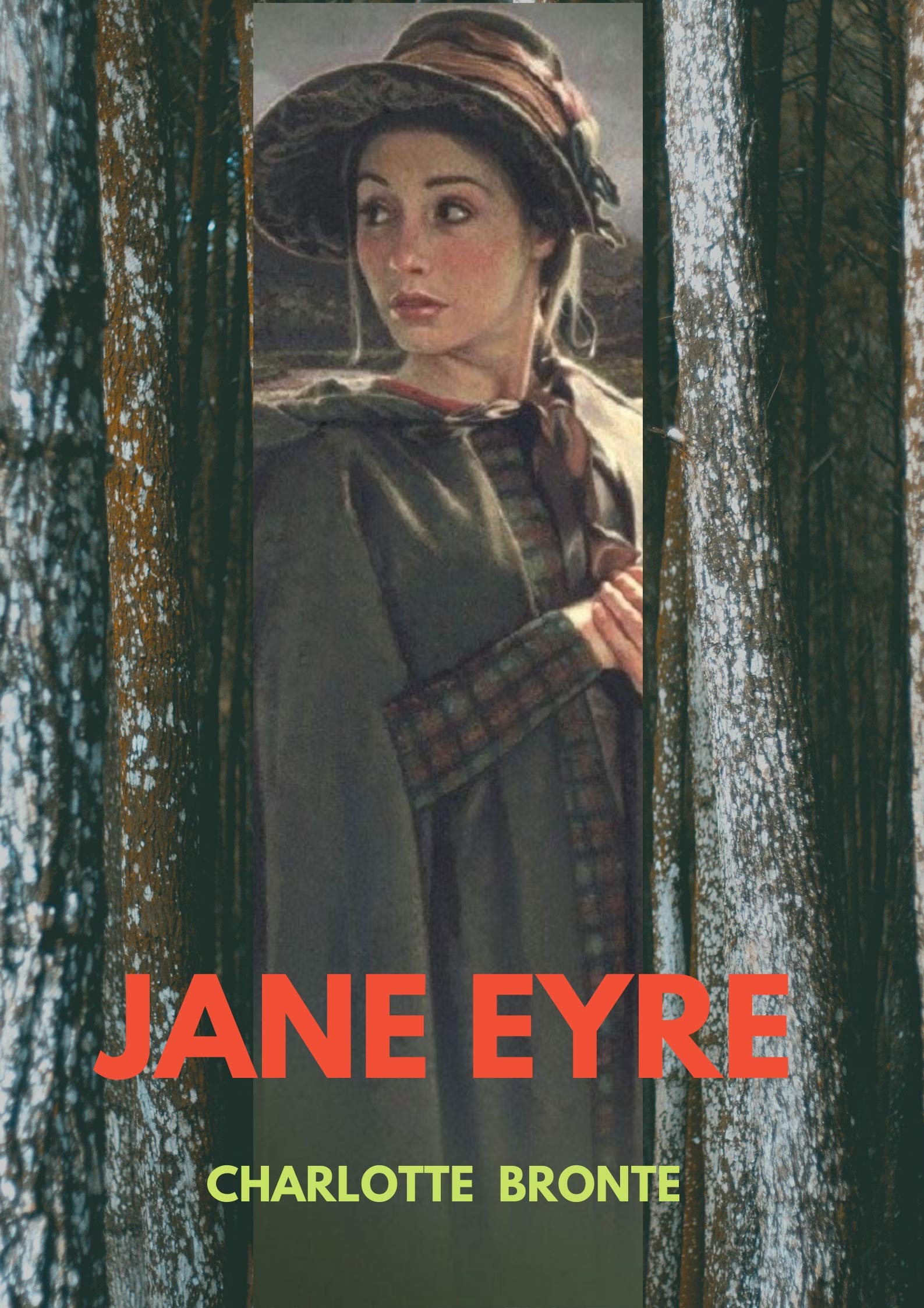 Jane Eyre Charlotte Bronte:: (Novel, Gothic fiction, Bildungsroman ...