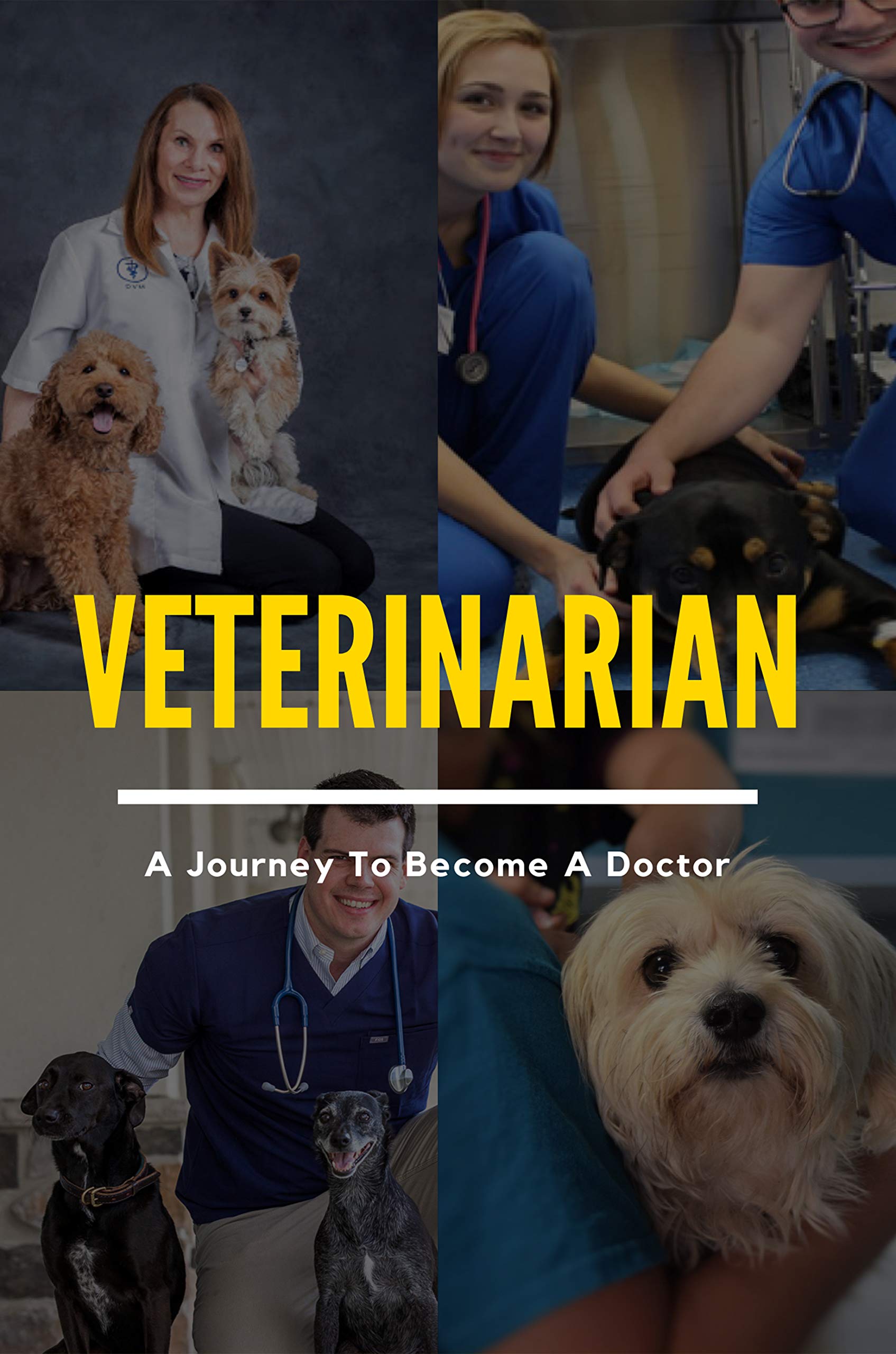 Veterinarian: A Journey To Become A Doctor: Veterinary Stories by ...