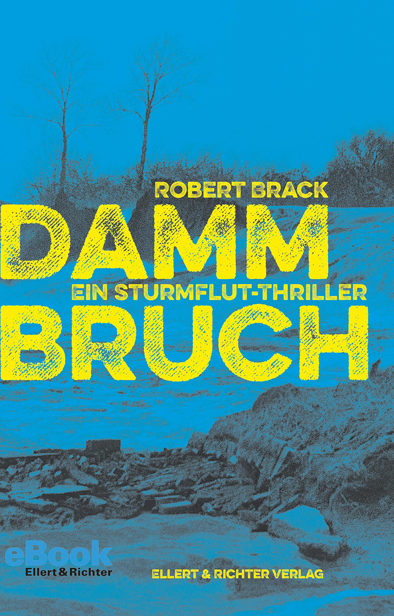 Dammbruch: Ein Sturmflut-Thriller (German Edition) by Robert Brack ...