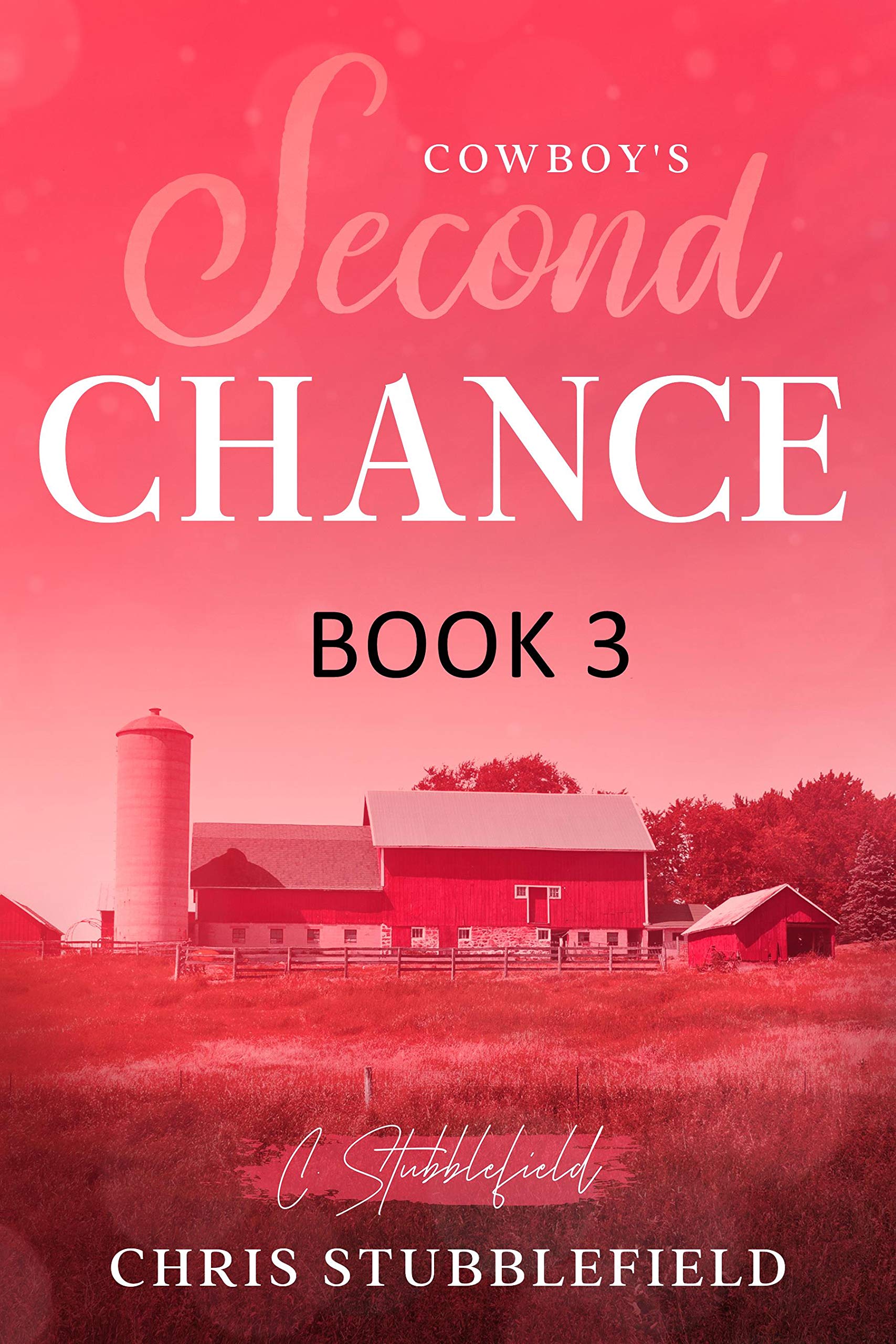 Cowboy's Second Chance 3 by Chris Stubblefield | Goodreads