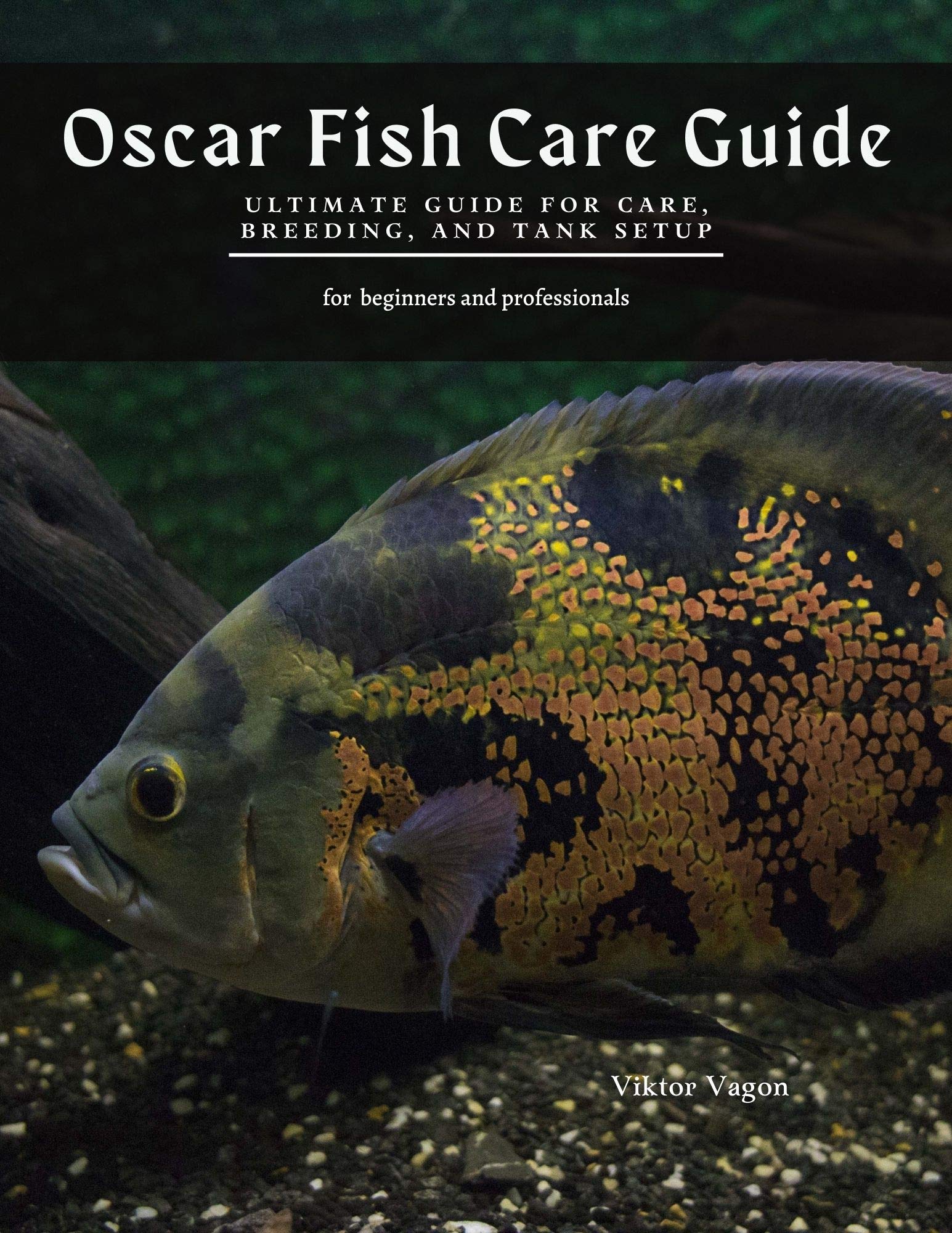 Oscar Fish Care Guide: Ultimate Guide for Care, Breeding, and Tank ...