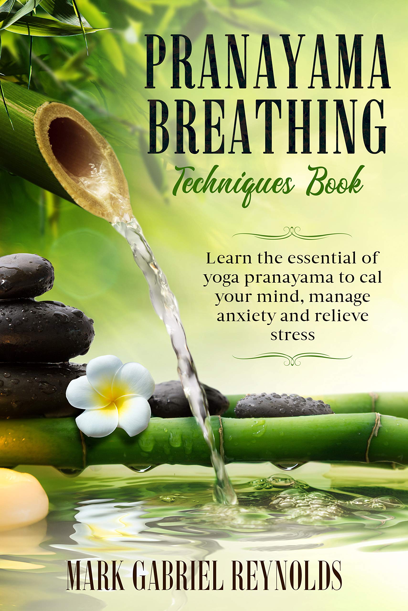 Pranayama breathing techniques book: Learn the essential of Yoga ...