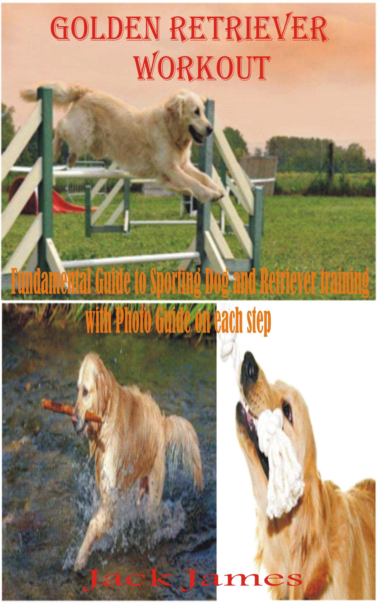 GOLDEN RETRIEVER WORKOUT: Fundamental Guide to Sporting Dog and ...