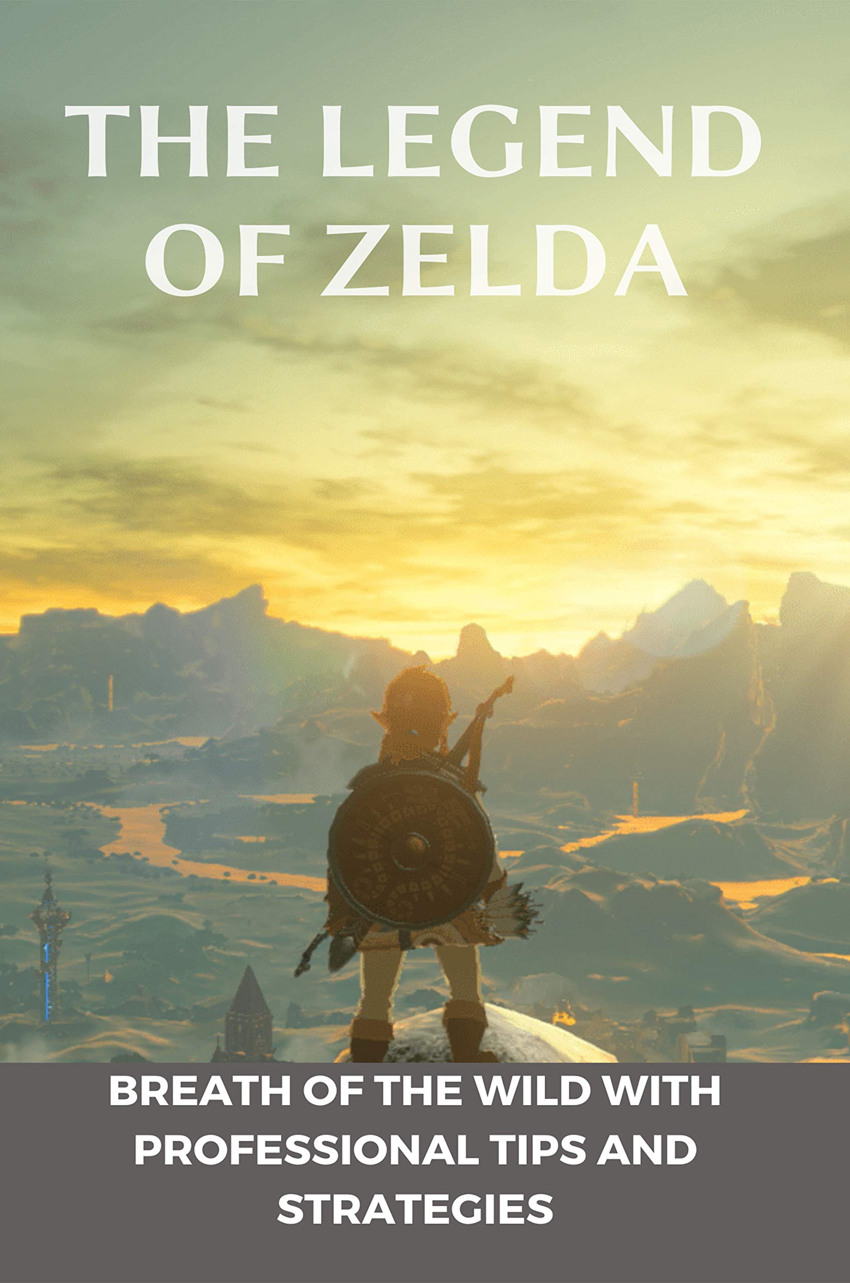 The Legend of Zelda: Breath of the Wild With Professional Tips And ...