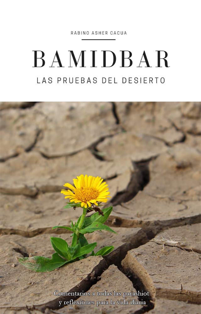 Bamidbar Las pruebas del desierto: Comentarios a todas las parashiot y ...