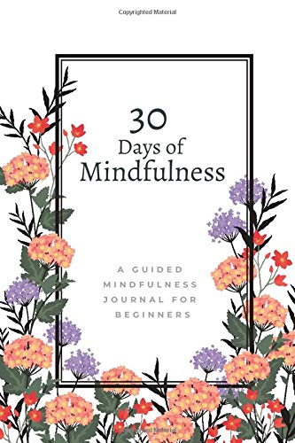 30 Days of Mindfulness: A Guided Mindfulness Journal for Beginners ...