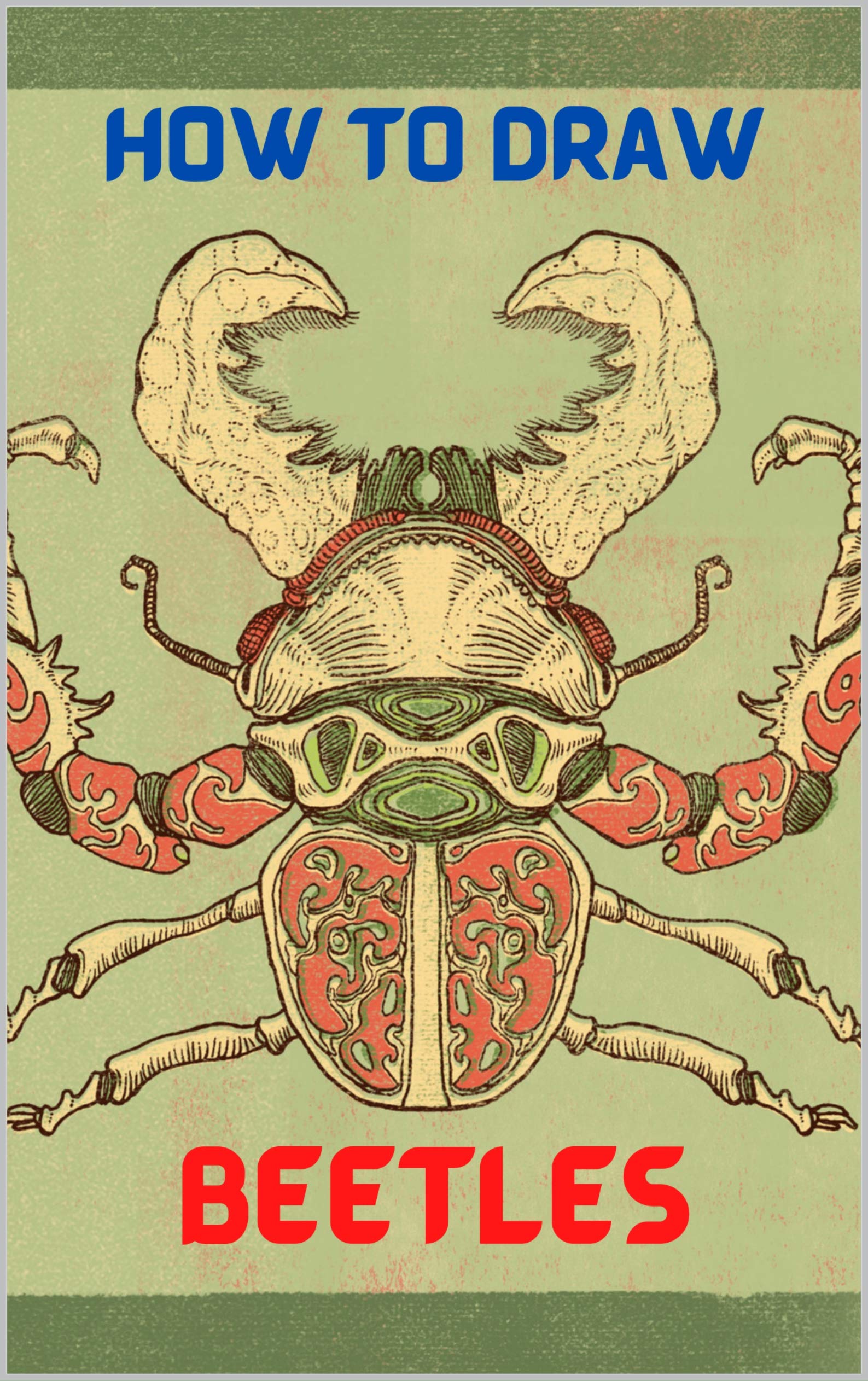 How To Draw Beetles: Step By Step,Simple And Easy Way to Learn How To ...