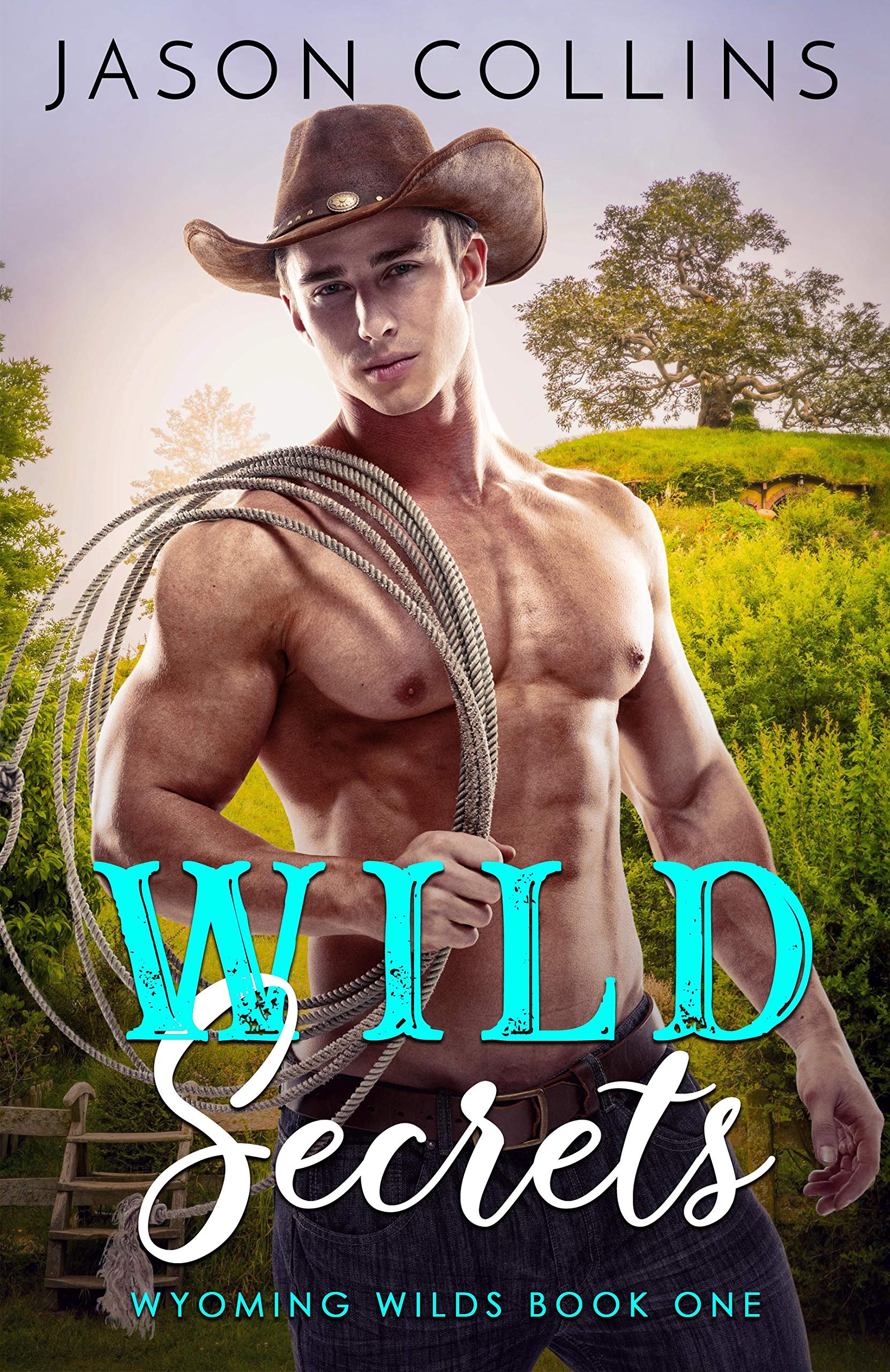 Wild Secrets (Wyoming Wilds #1) by Jason Collins | Goodreads