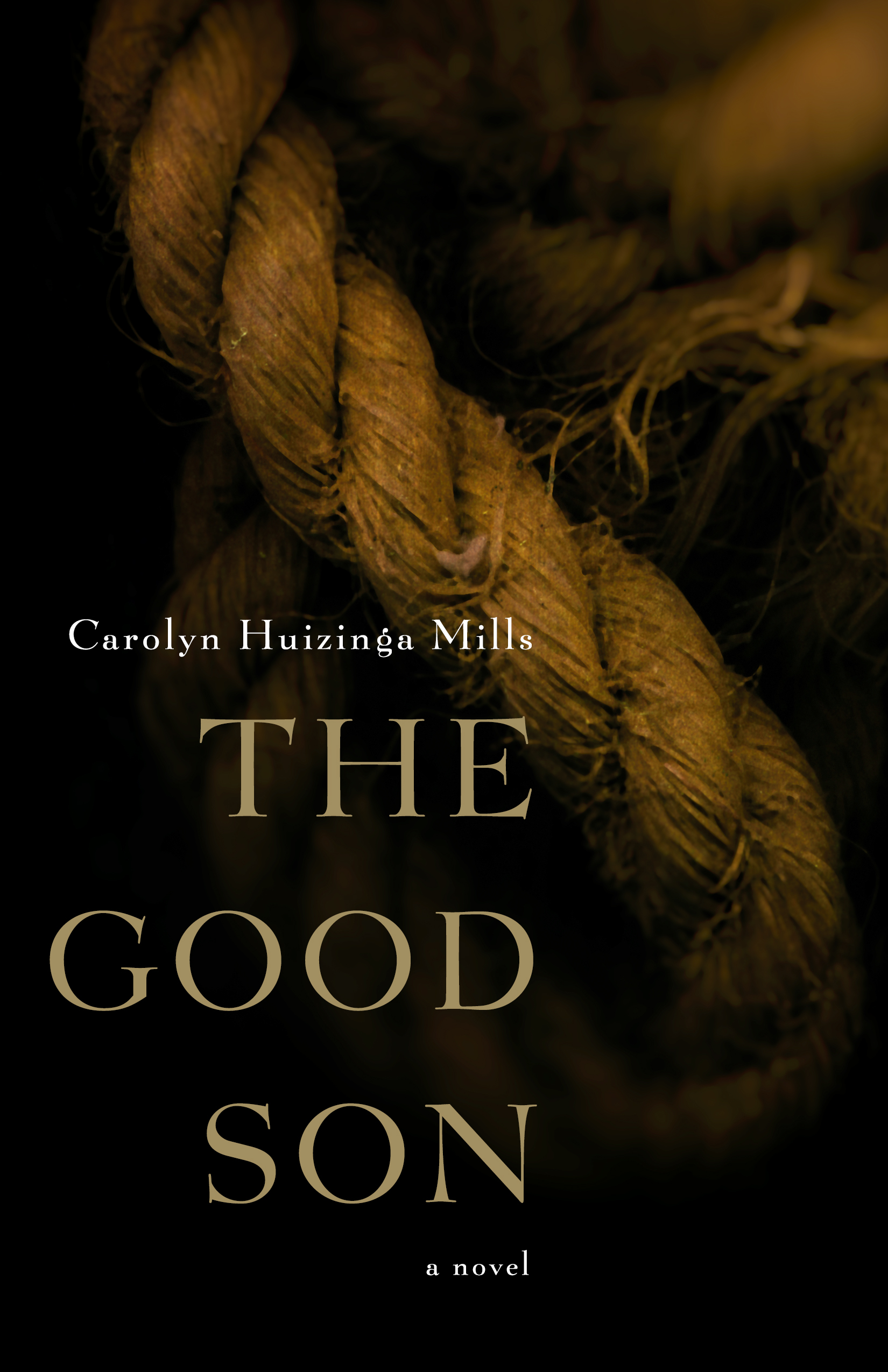 The Good Son by Carolyn Huizinga Mills | Goodreads