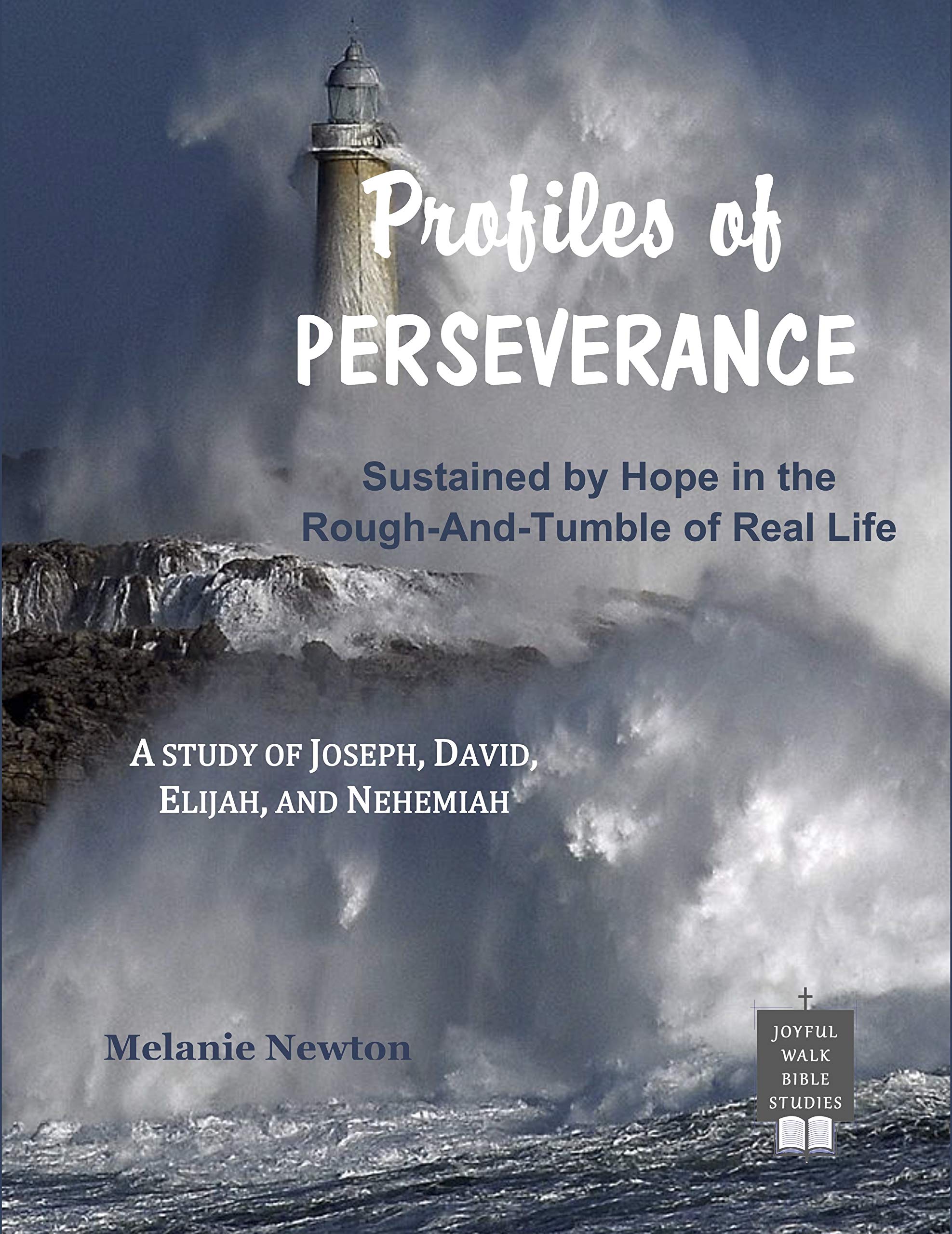 Profiles of Perseverance: Sustained by Hope in the Rough-And-Tumble of ...