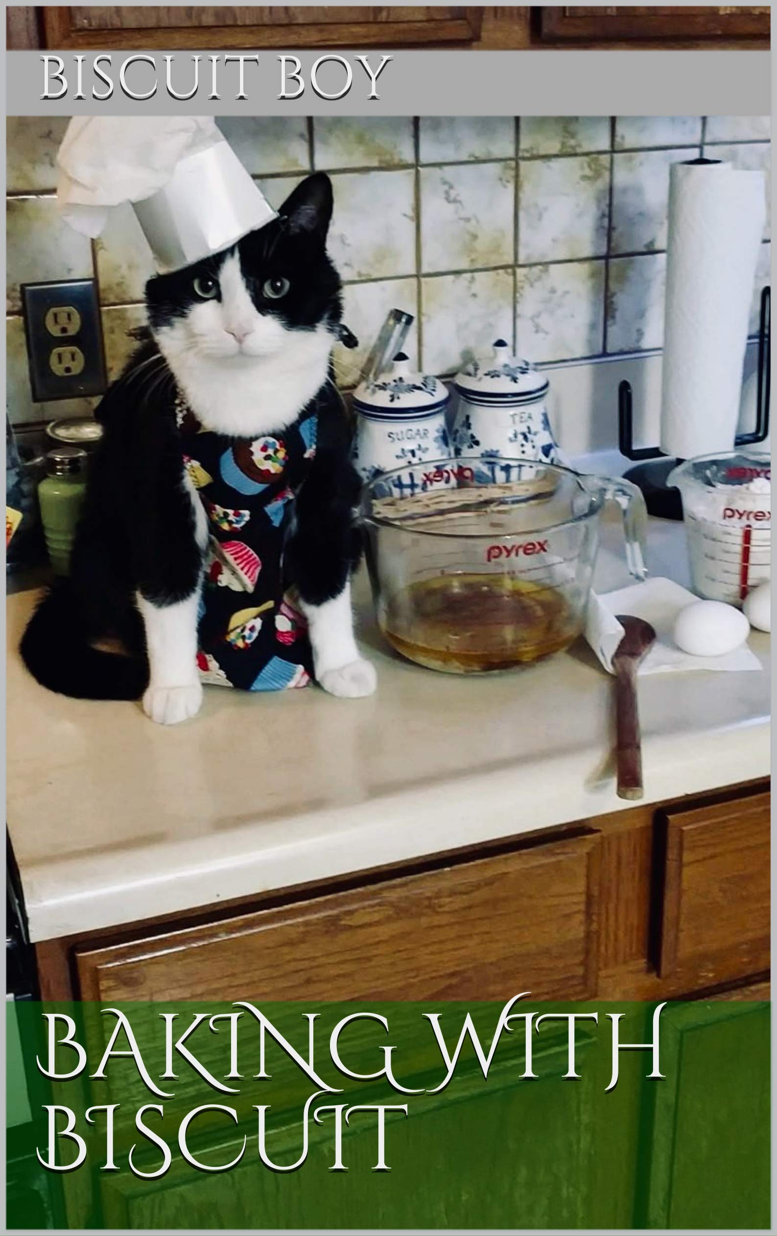 Baking with Biscuit by Mr. Biscuit Boy | Goodreads