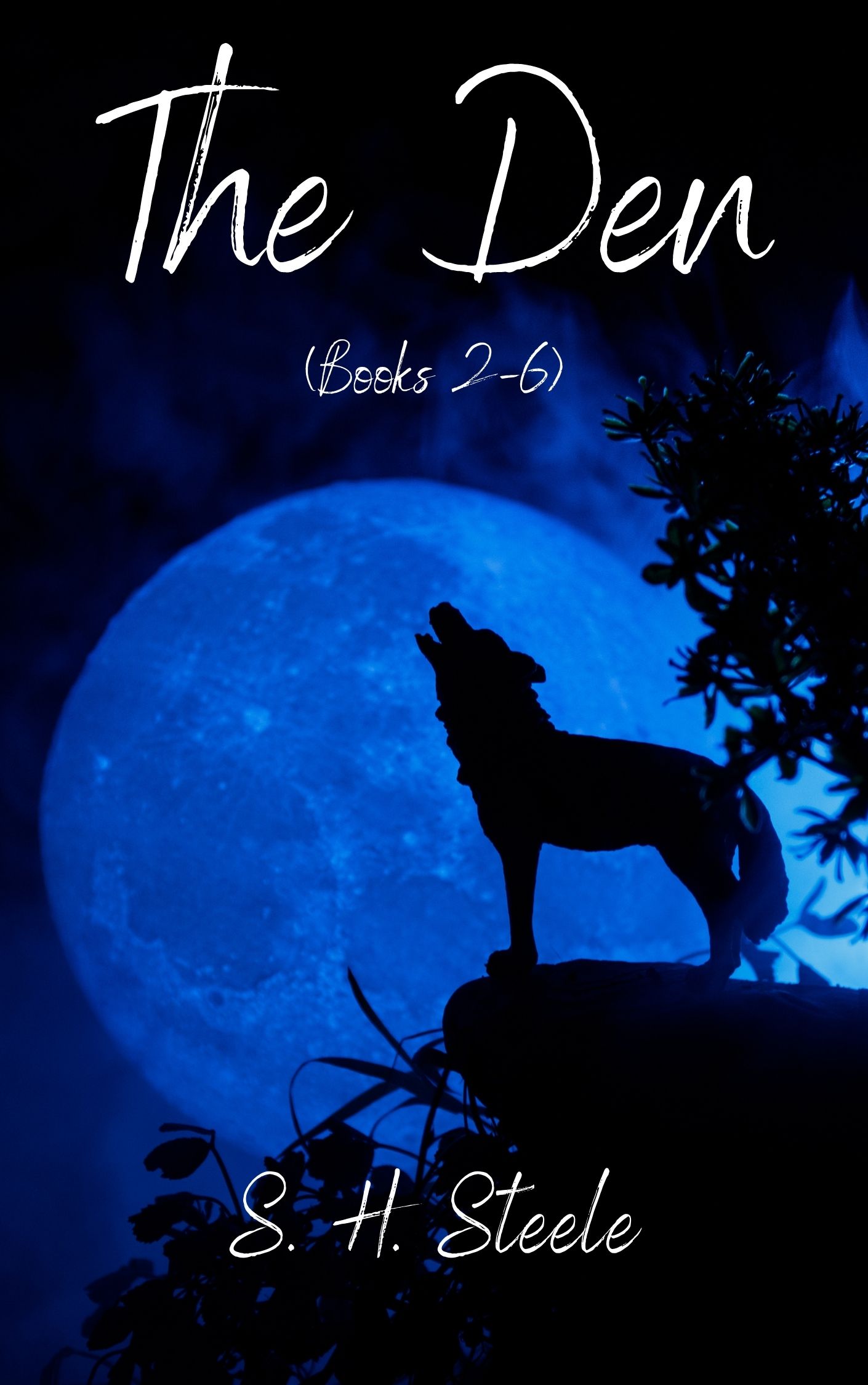 The Den Box Set: Books 2-6 by S.H. Steele | Goodreads
