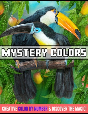 Mystery colors creative color by number & discover the magic: Large ...