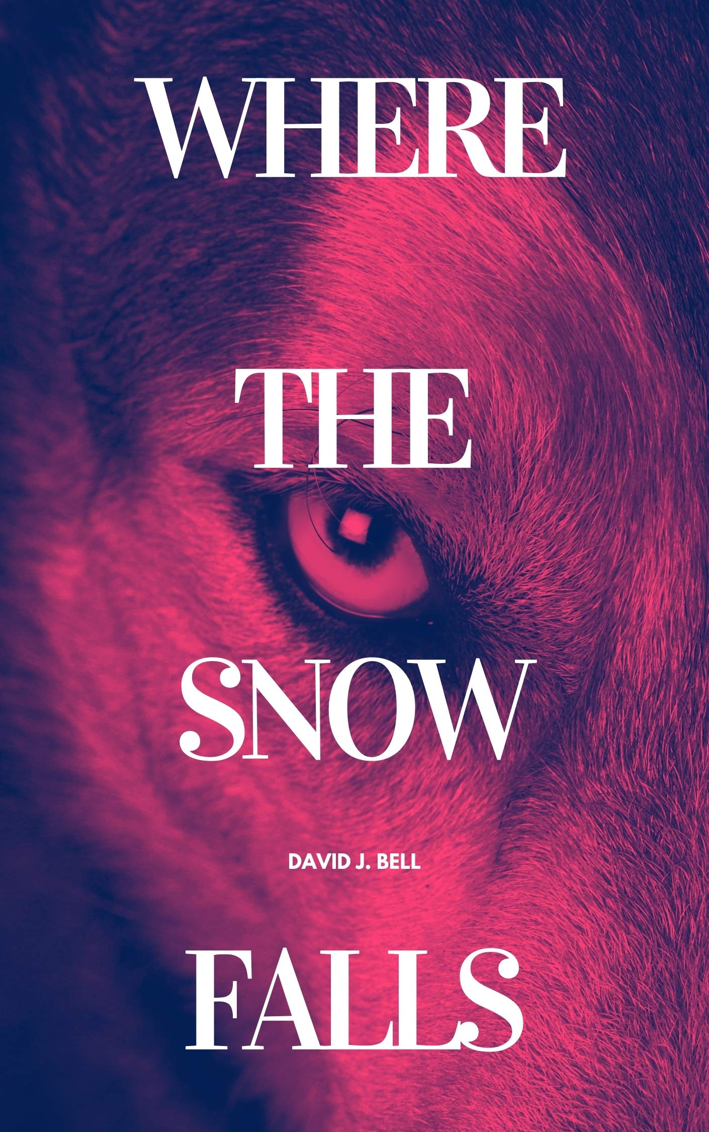 Where the Snow Falls by David J. Bell | Goodreads