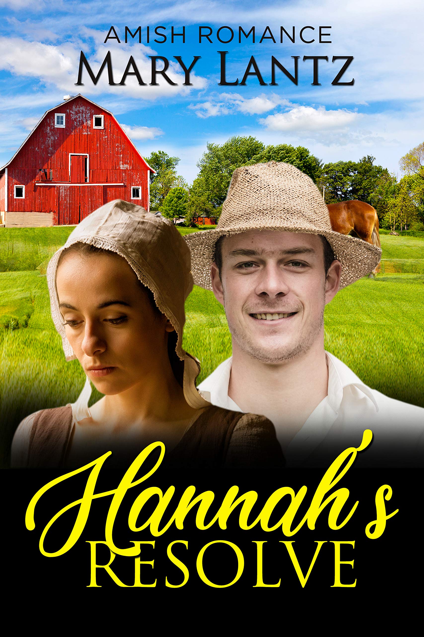 Hannah's Resolve by Mary Lantz | Goodreads