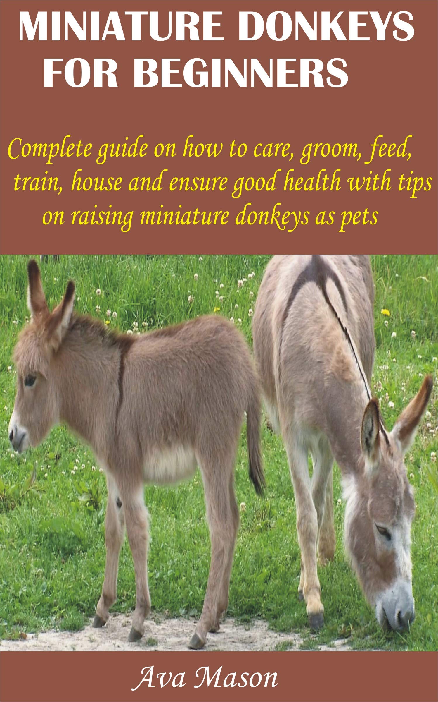 MINIATURE DONKEYS FOR BEGINNERS: Complete guide on how to care, groom ...
