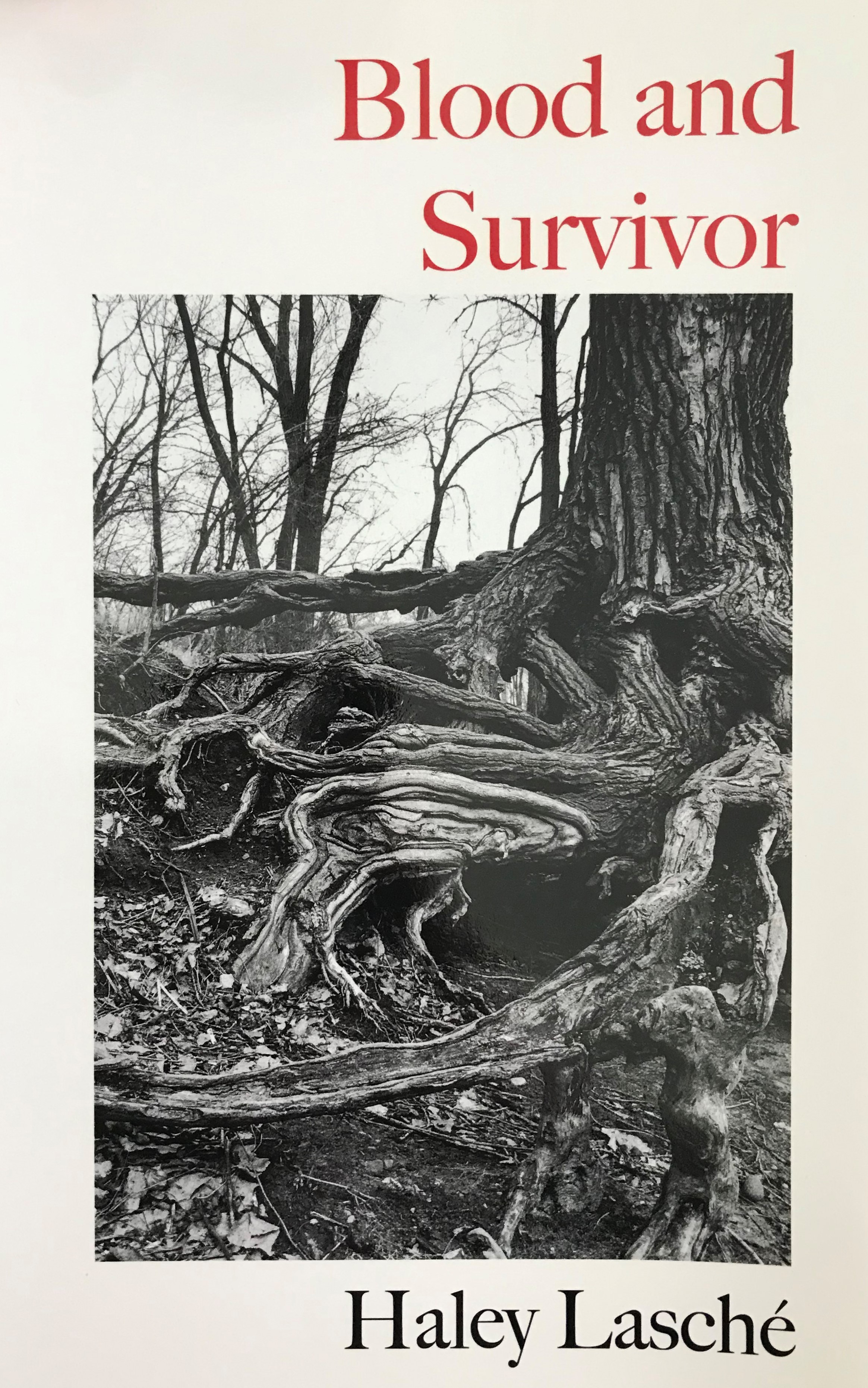 Blood and Survivor by Haley Lasché | Goodreads