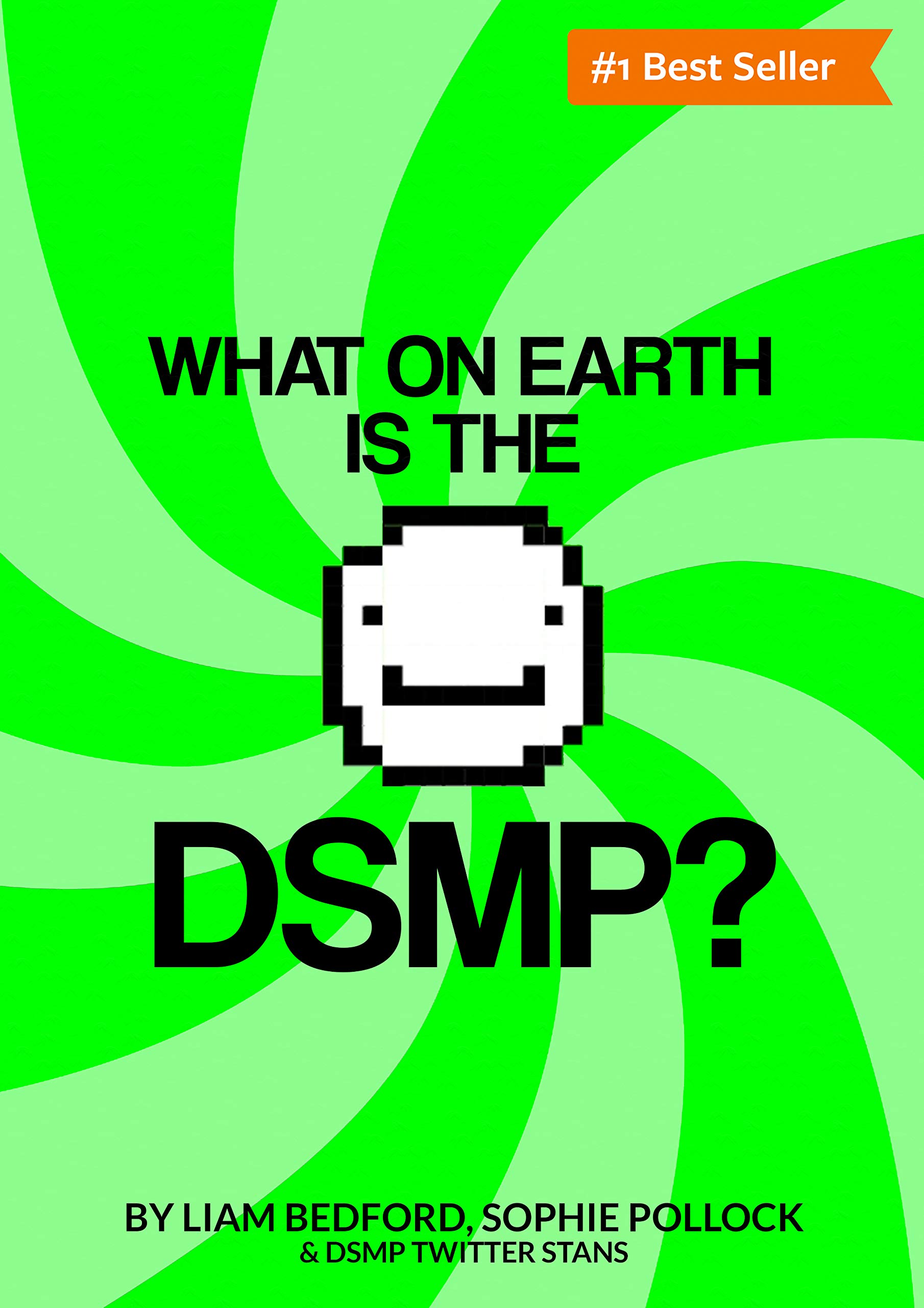 What On Earth Is The DSMP?: A short book that explains exactly what the ...