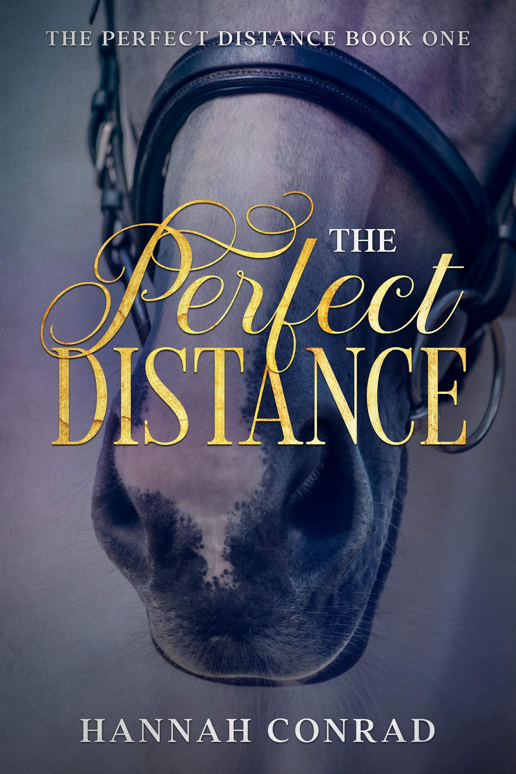 The Perfect Distance (The Perfect Distance, #1) by Hannah Conrad ...