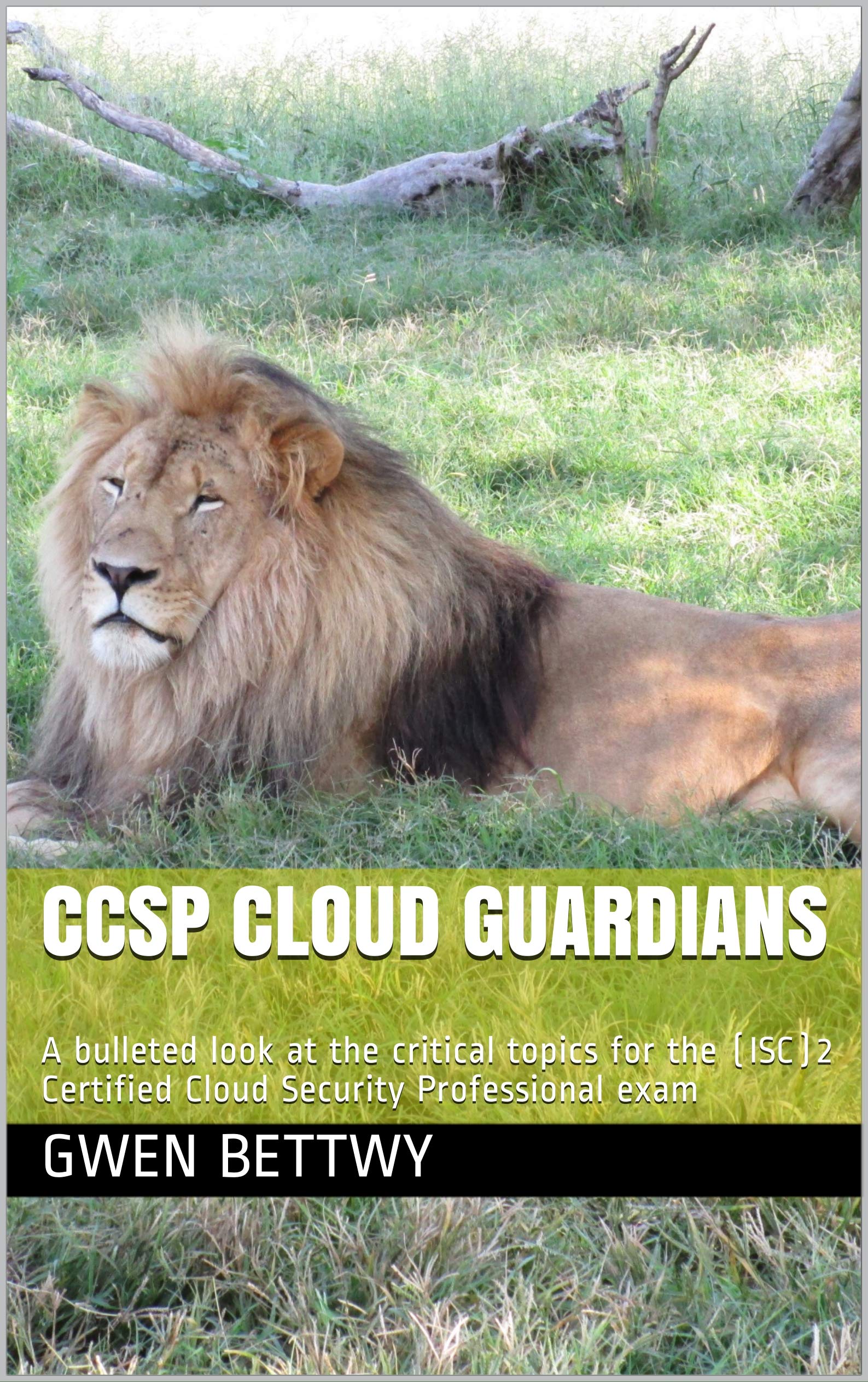 CCSP Cloud Guardians: A bulleted look at the critical topics for the ...