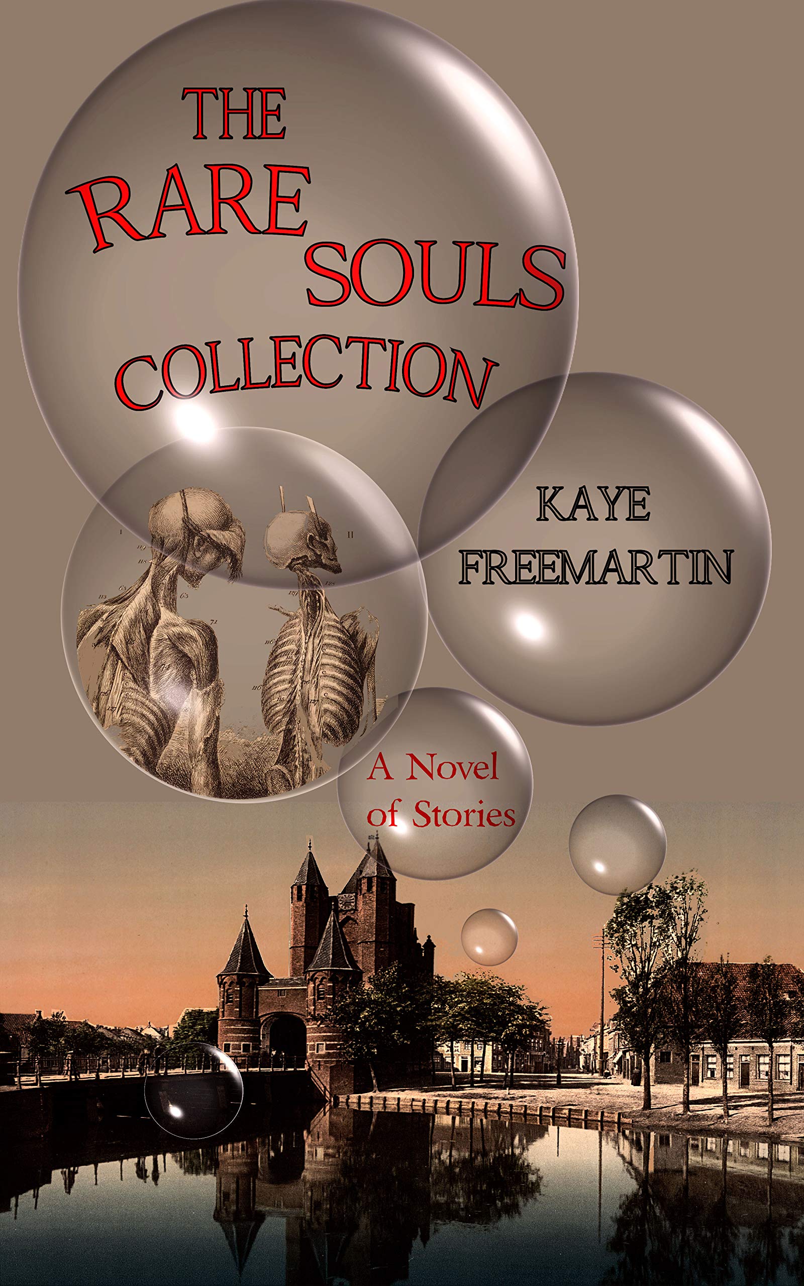 The Rare Souls Collection: A Novel of Stories by Kaye Freemartin ...