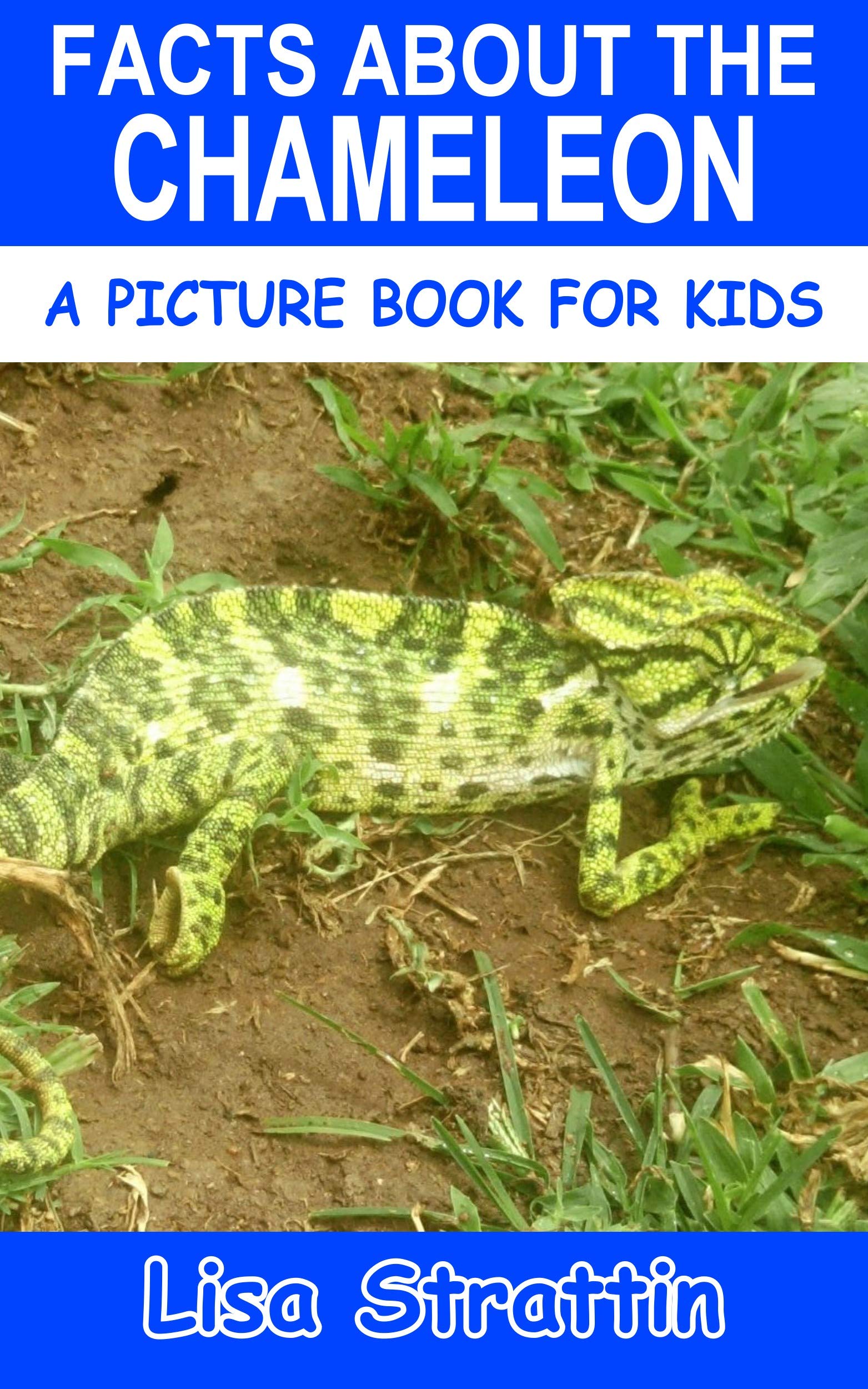 Facts About the Chameleon by Lisa Strattin | Goodreads