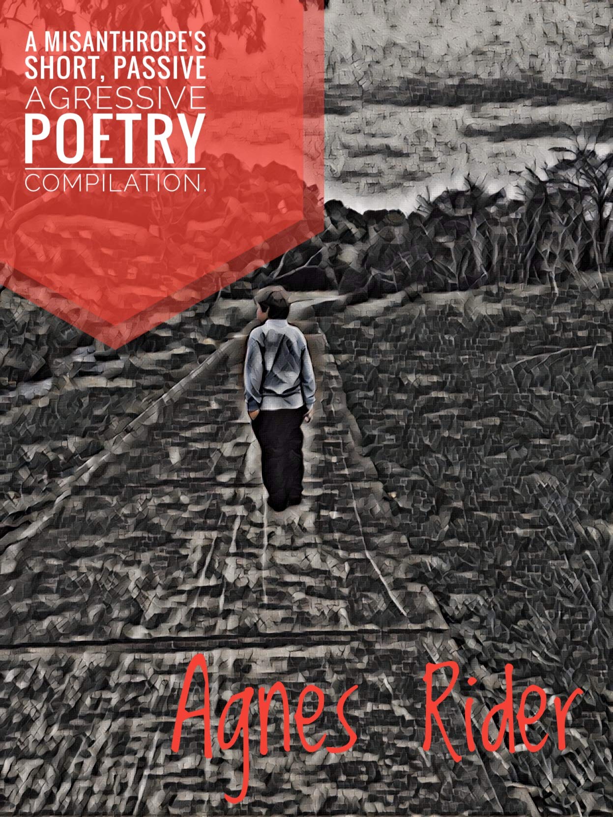 A Misanthrope's Short, Passive Aggressive Poetry Compilation by Agnes ...