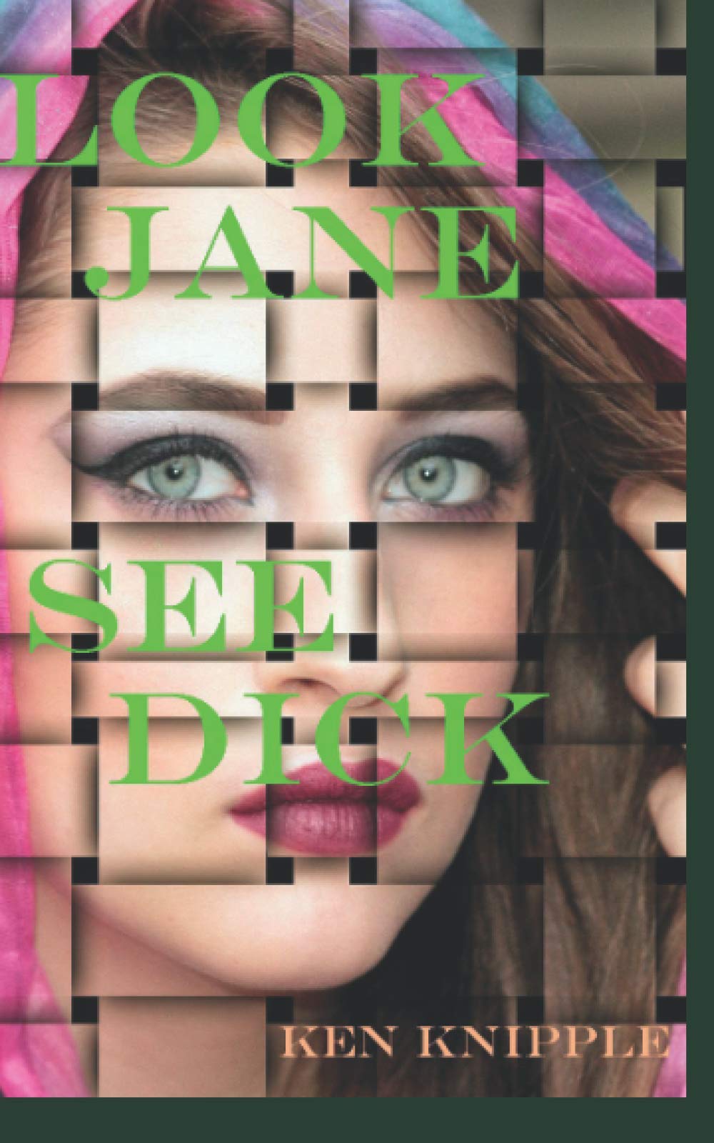 Look Jane See Dick by Ken Knipple | Goodreads