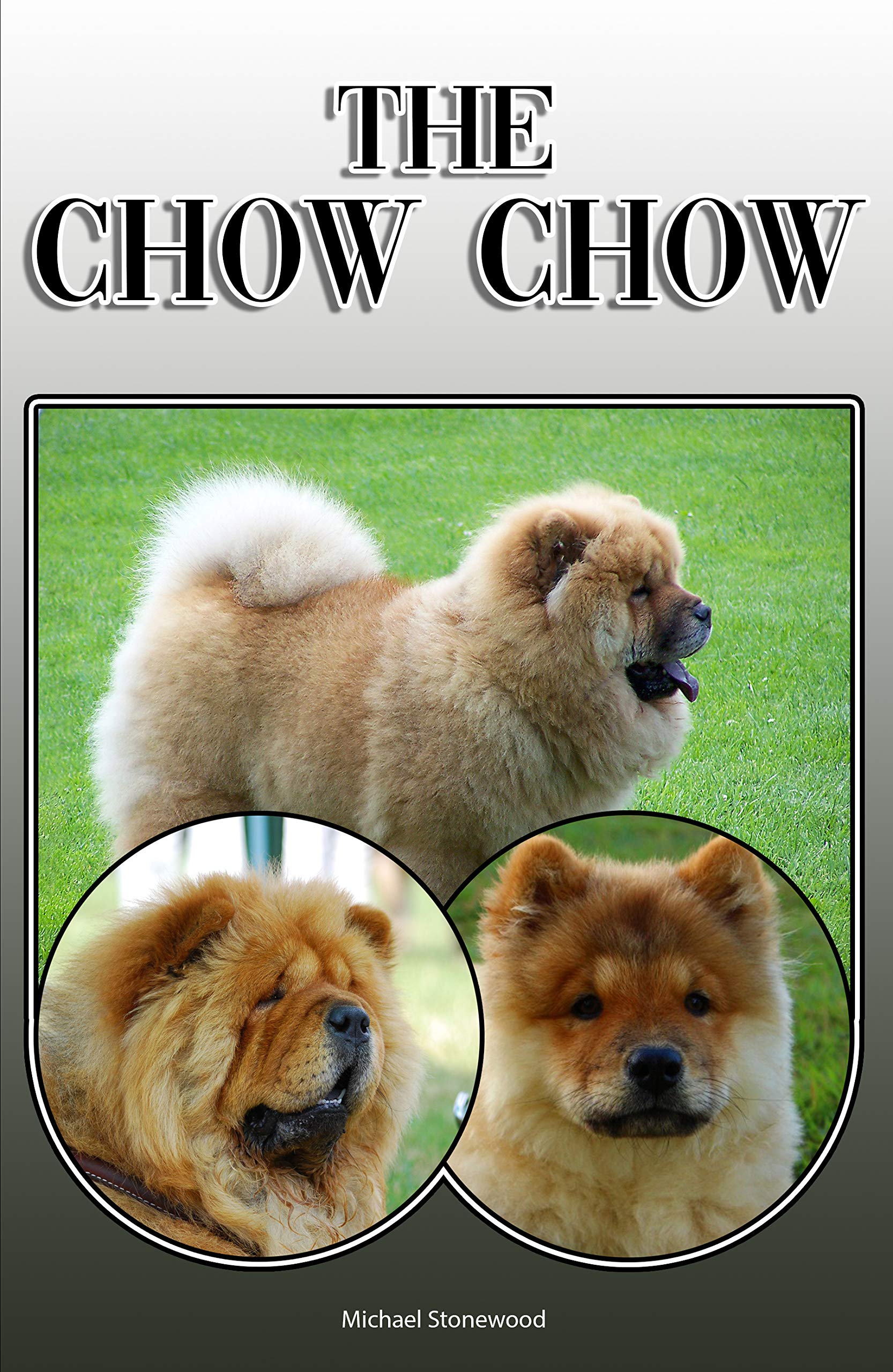 The Chow Chow: A Complete and Comprehensive Owners Guide to: Buying ...