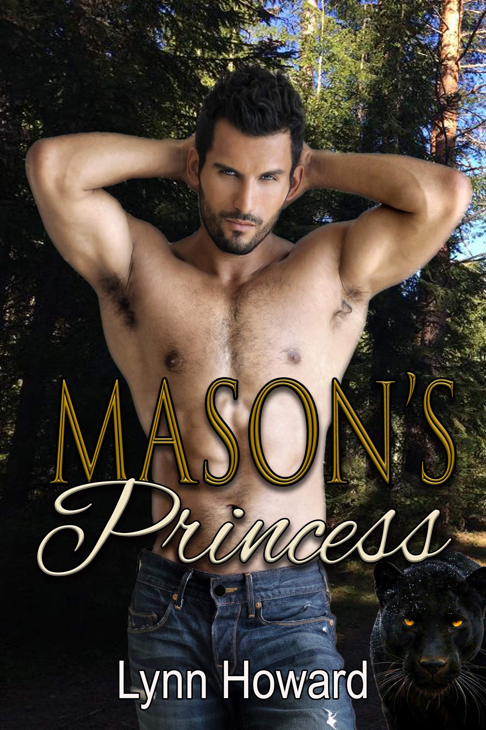 Mason's Princess (Ravenwood Panthers, #4) by Lynn Howard | Goodreads