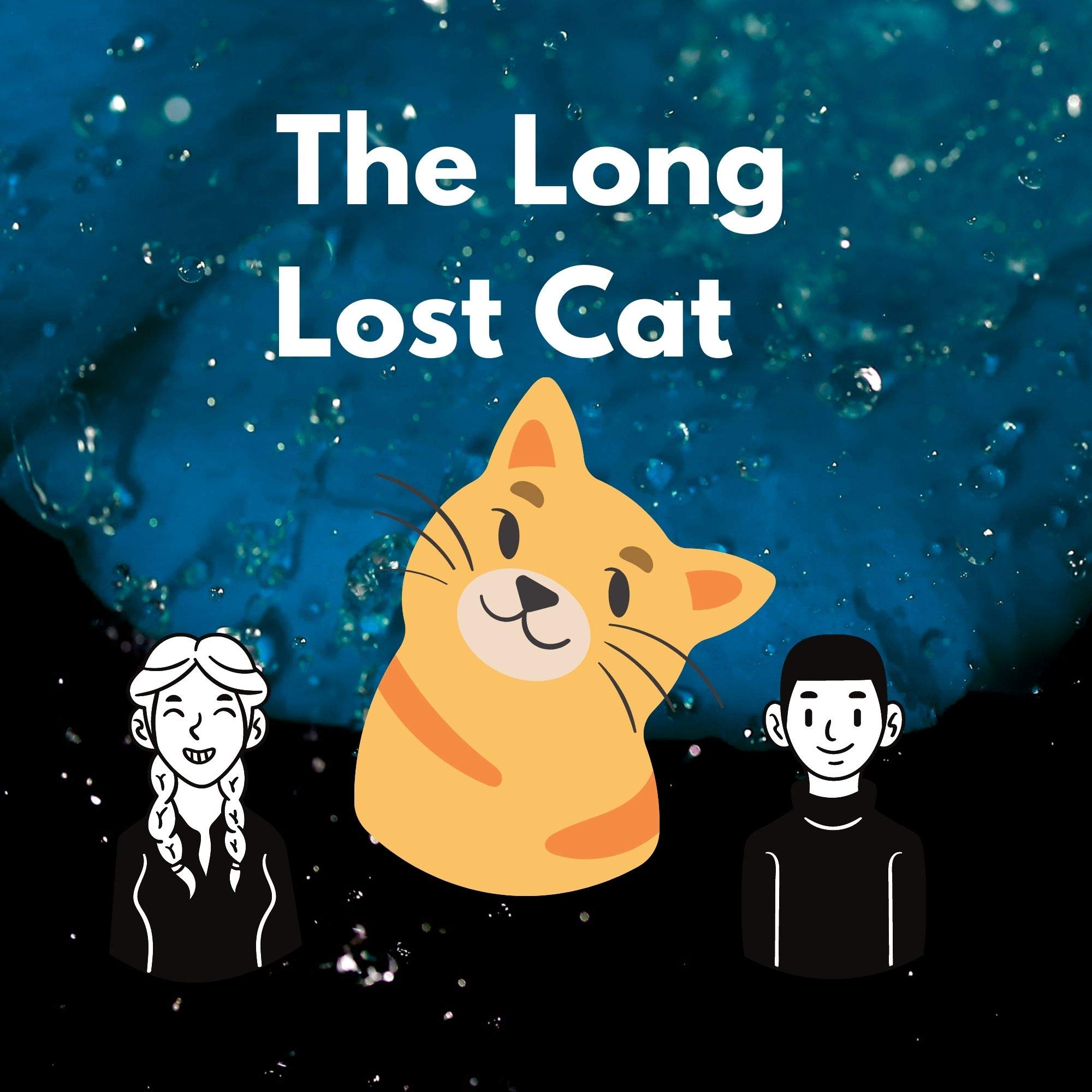 The Long Lost Cat by Emily Grabham | Goodreads