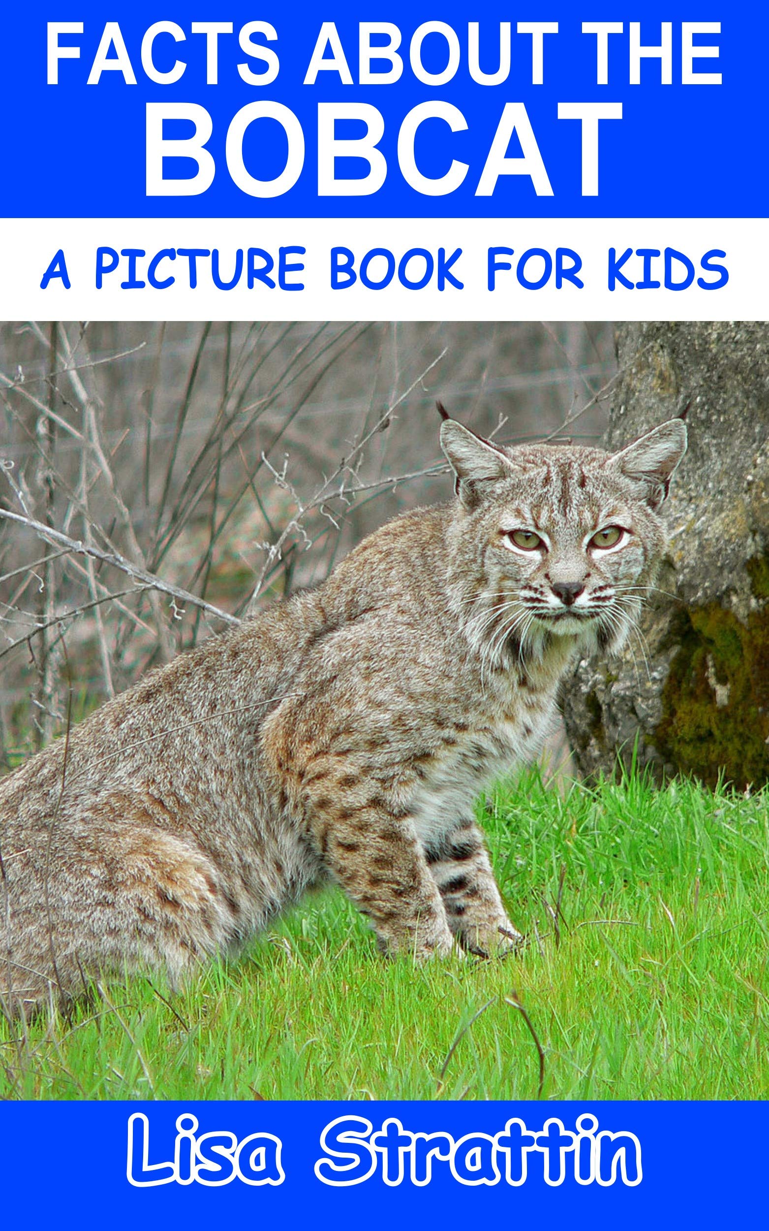 Facts About the Bobcat (A Picture Book For Kids 298) by Lisa Strattin ...