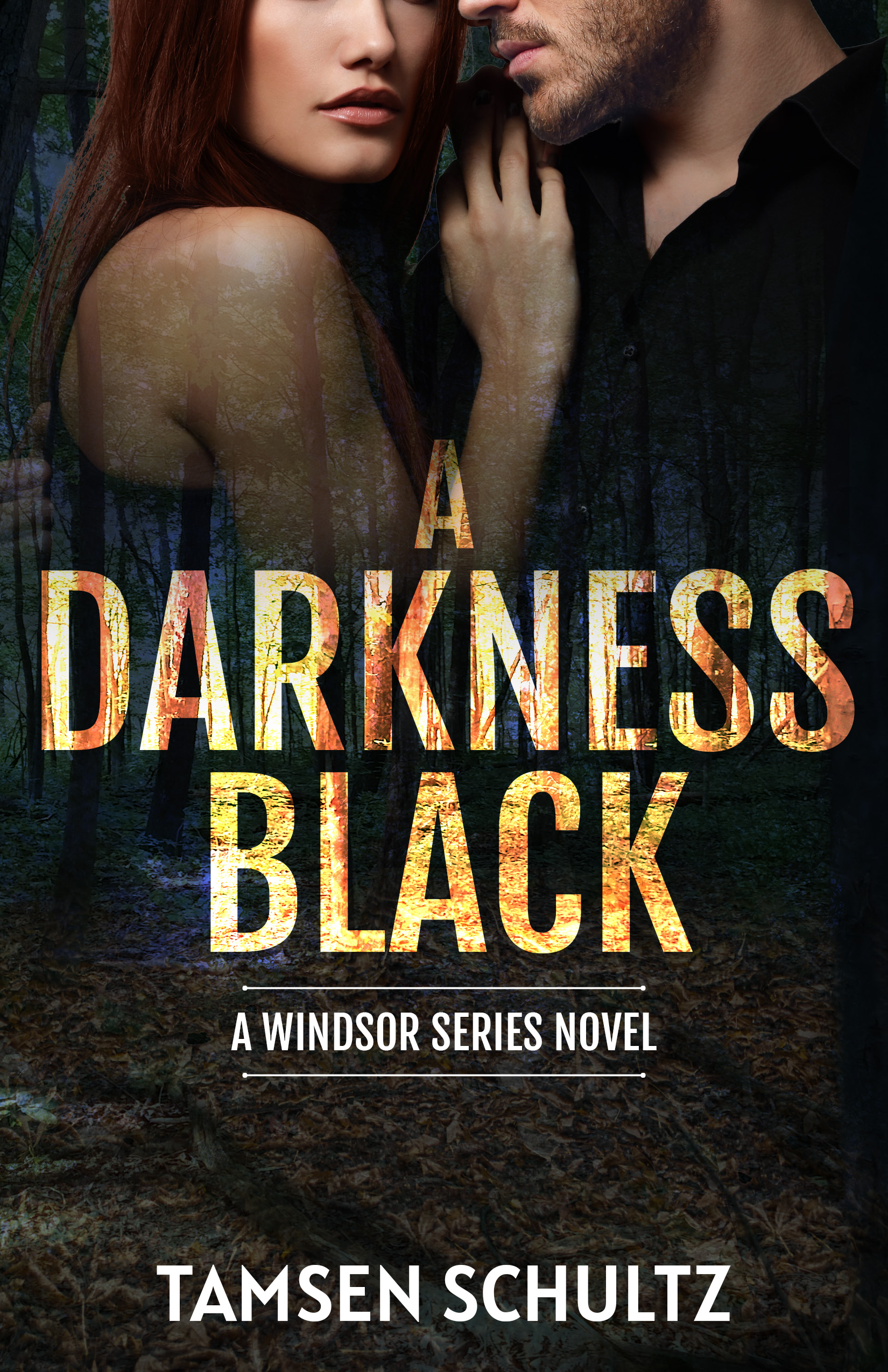 A Darkness Black (Windsor #6) by Tamsen Schultz | Goodreads