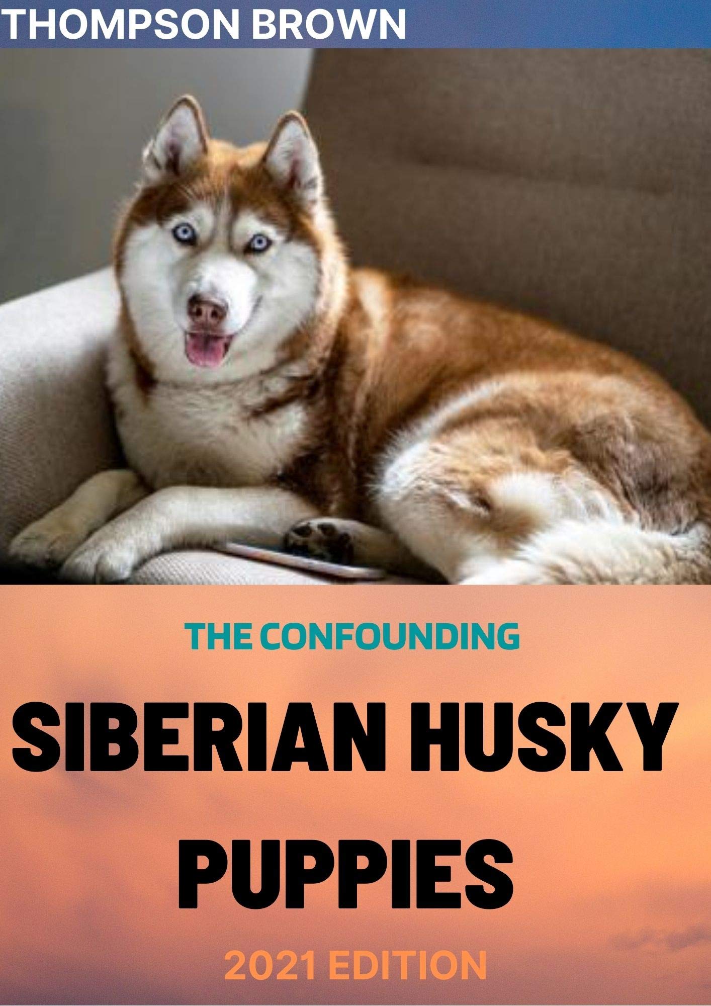 THE CONFOUNDING SIBERIAN HUSKY PUPPIES 2021 EDITION: Everything You ...