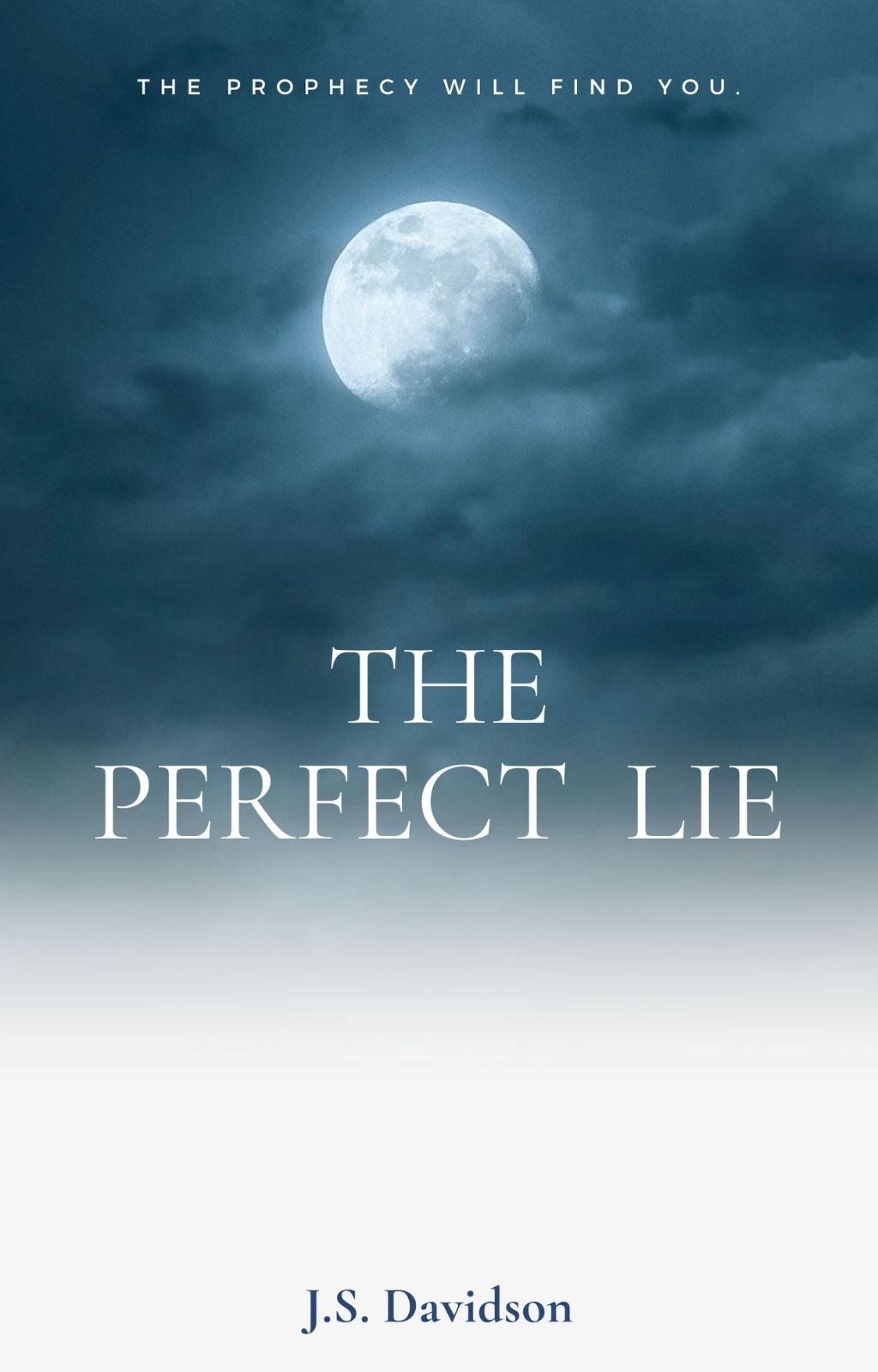 The Perfect Lie by J.S. Davidson | Goodreads