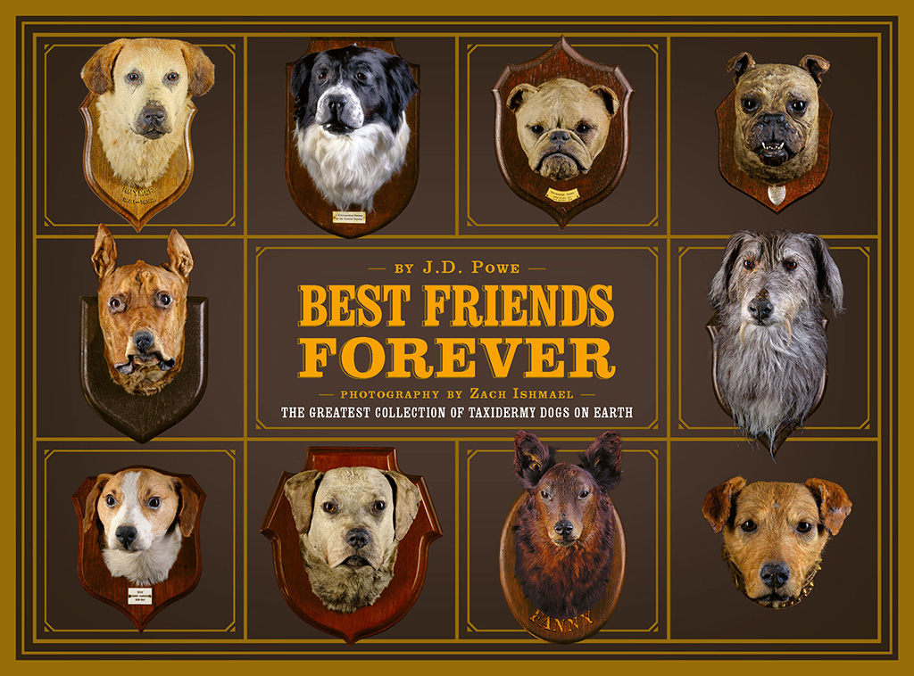 Best Friends Forever: The Greatest Collection of Taxidermy Dogs on ...