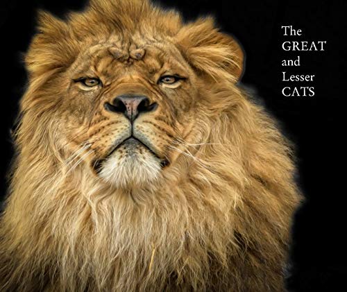 The Great and Lesser Cats by David Pine | Goodreads