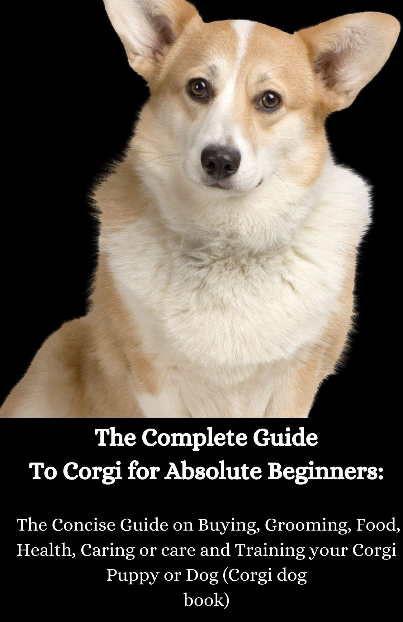 The Complete Guide To Corgi for Absolute Beginners: The Concise Guide ...