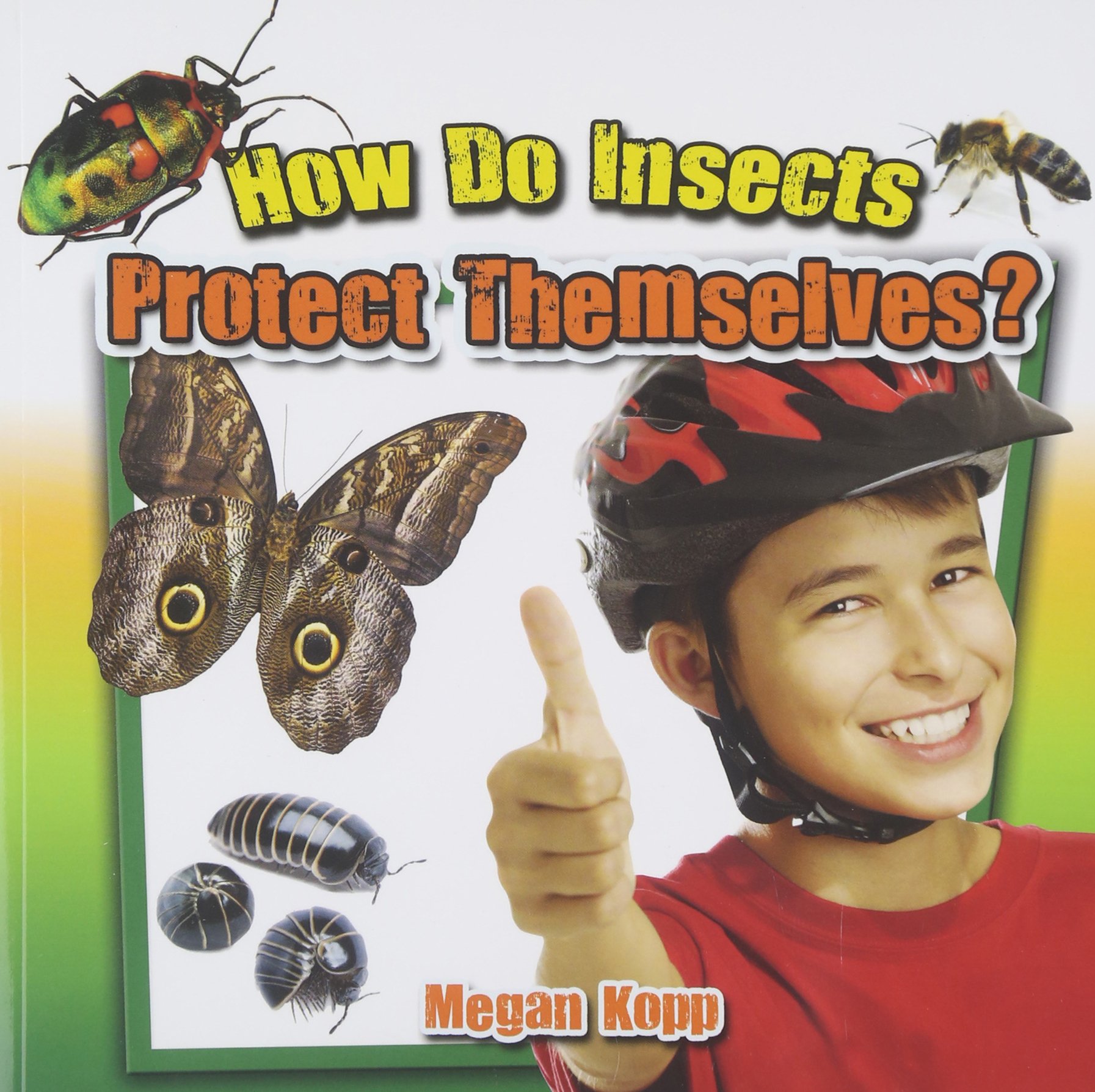 How Do Insects Protect Themselves? (Insects Close-Up) by Megan Kopp ...